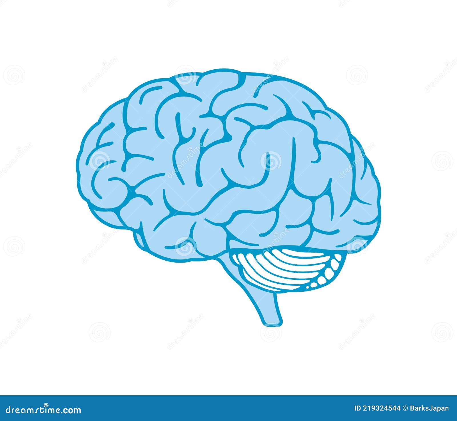 Vector Illustration of Human Brain Stock Vector - Illustration of ...