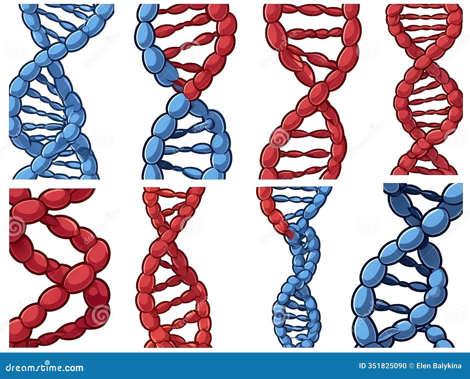 Vector Illustration of Human DNA Structure Stock Illustration ...