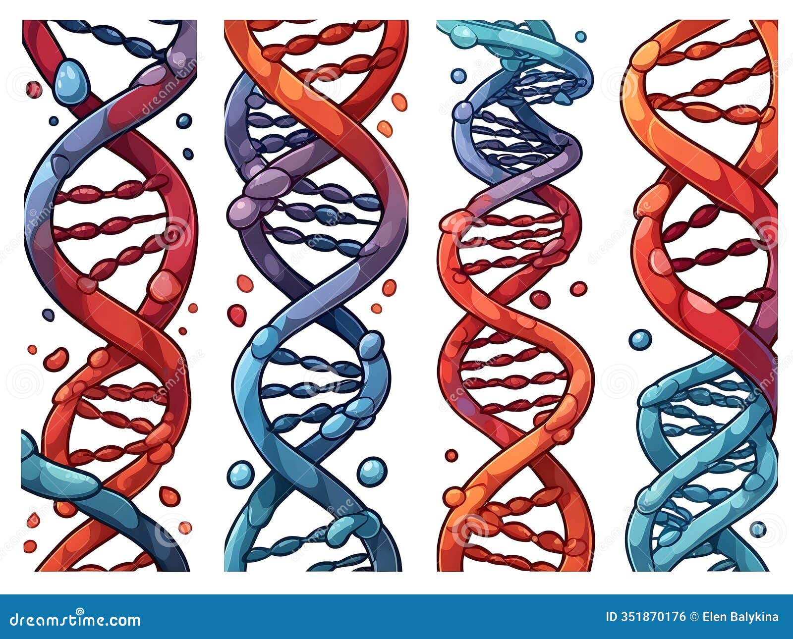 Vector Illustration of Human DNA Structure Stock Illustration ...