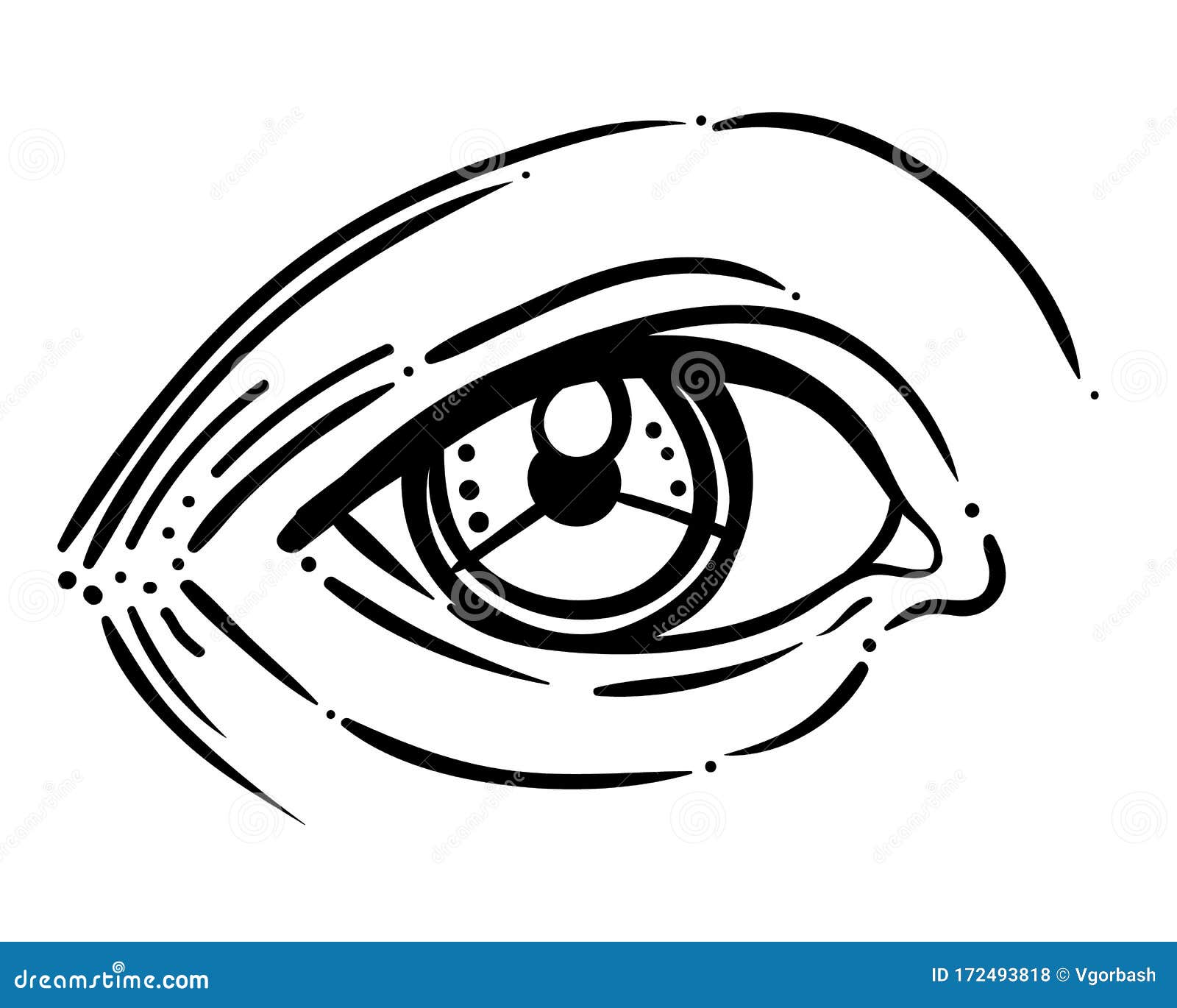 Vector Illustration of Human Eye in Engraved Style. Hand Drawing ...