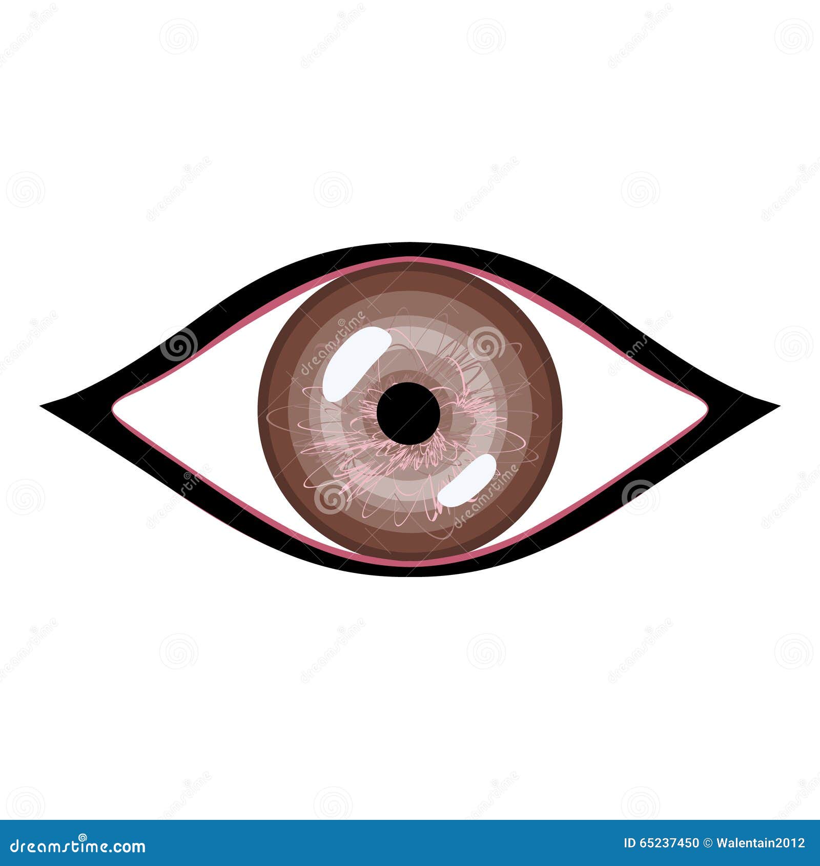 Vector Illustration of Human Eye. Stylized Brown Eye with Glares Stock ...