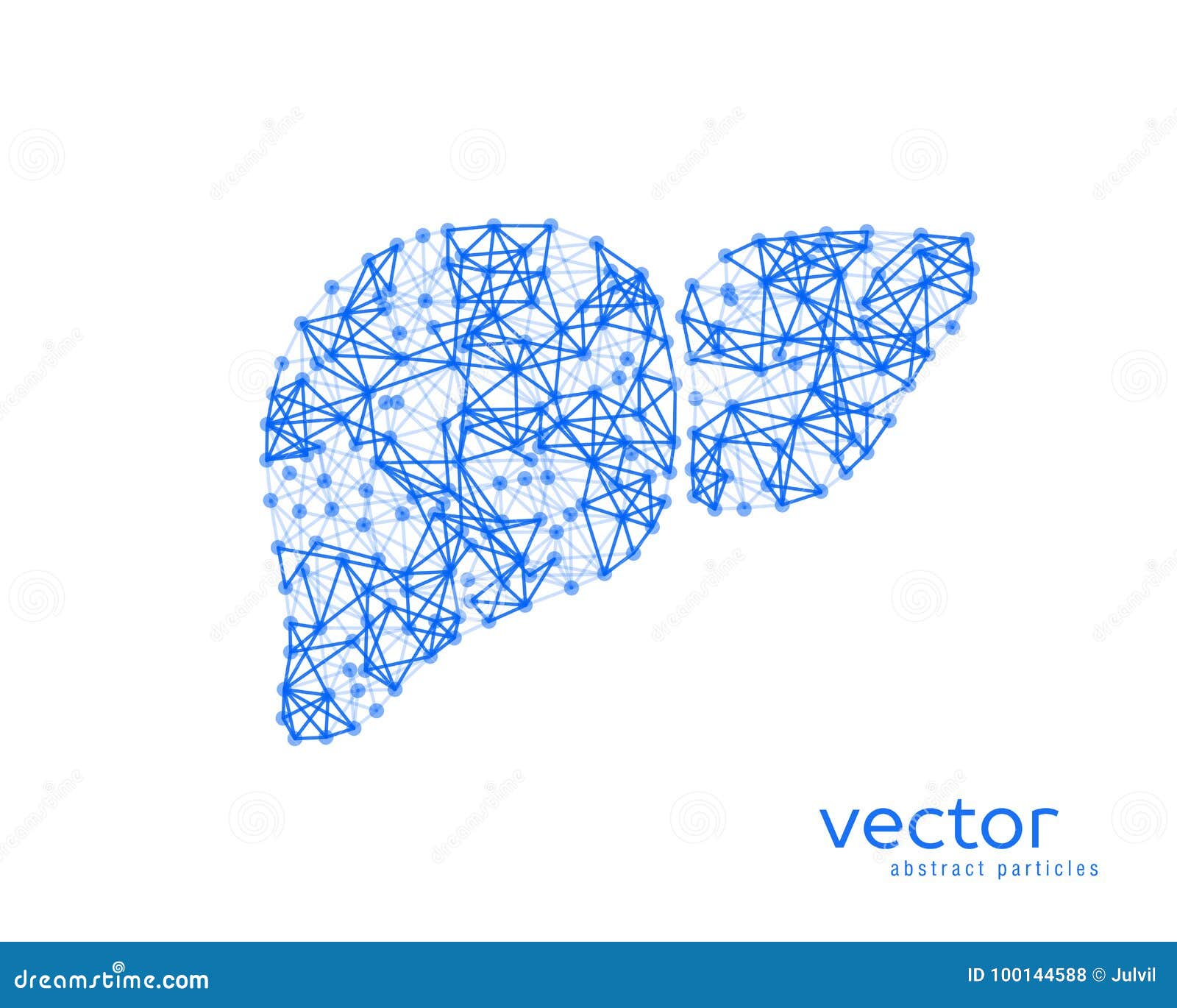 Vector Illustration of Human Liver with Cirrhosis. Stock Vector ...