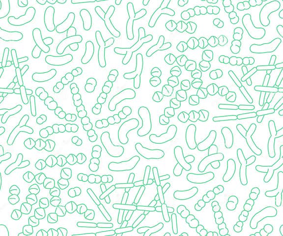 Vector Illustration of the Human Microbiome, Probiotic Beneficial ...