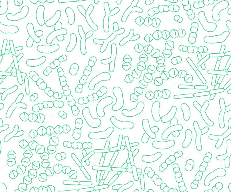 Vector Illustration of the Human Microbiome, Probiotic Beneficial ...