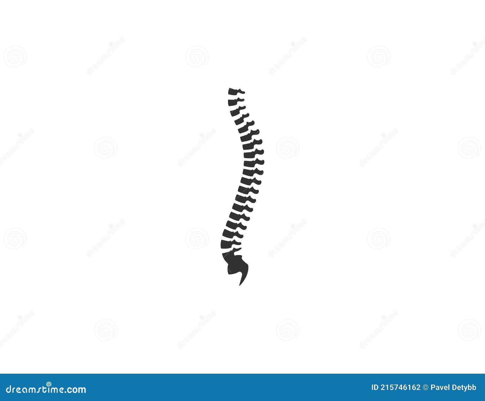 Human Spine, Anatomy, Backbone Icon. Vector Illustration Stock Vector ...