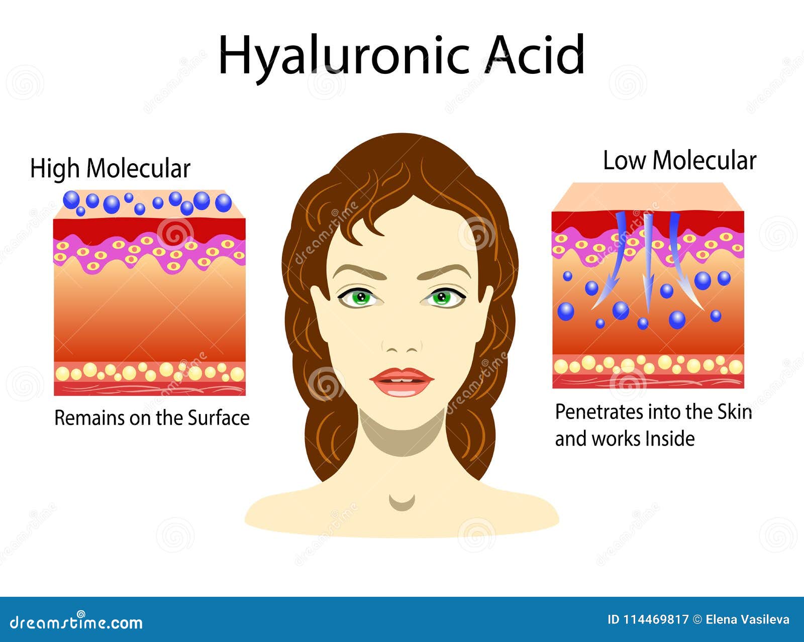 Vector Illustration with Hyaluronic Acid in Skin-care Products. Low ... Vector Illustration with Hyaluronic Acid in Skin-care Products. Low ...