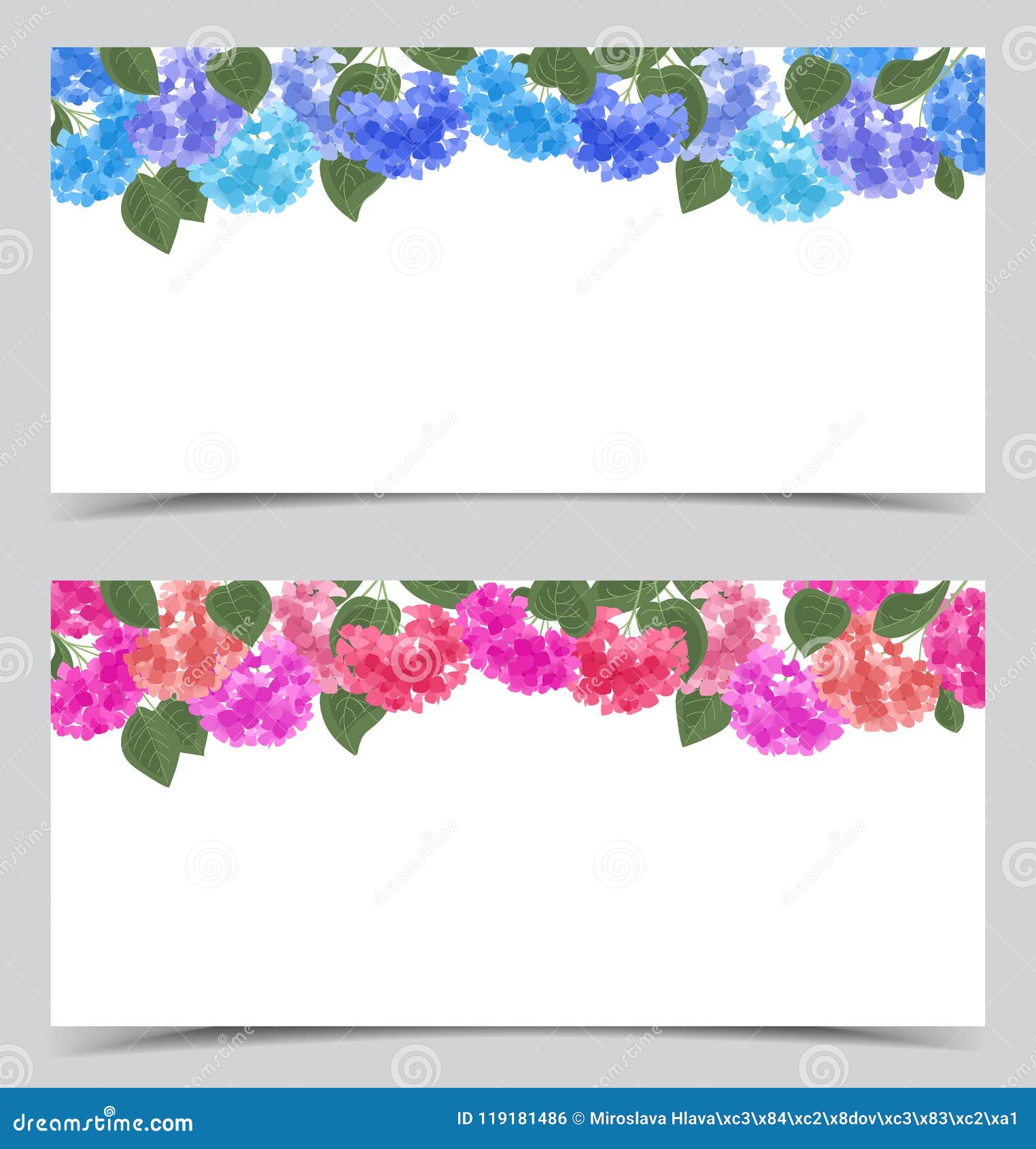 Vector hydrangea flower stock vector. Illustration of graphic - 119181486