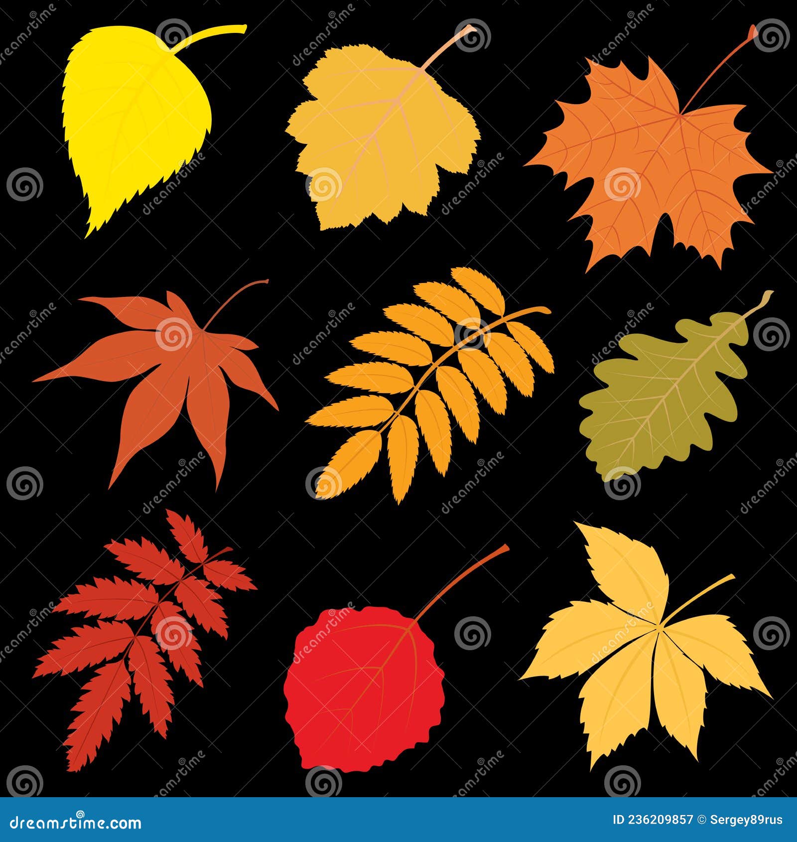 Vector Illustration with the Image of Autumn Leaves. Stock Vector ...