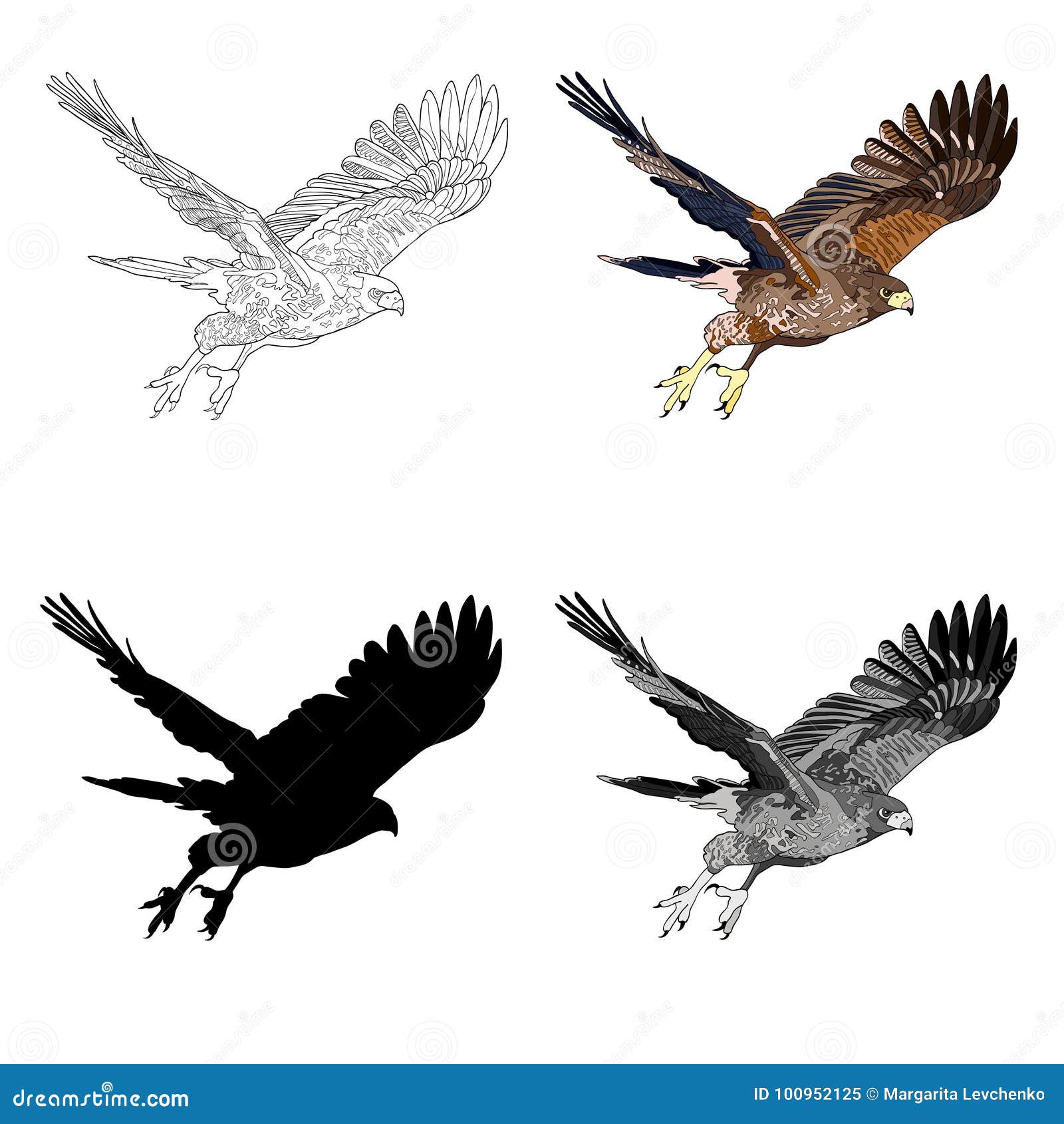 The Flying Hawk Is Isolated On A White Background. Generative Ai ...