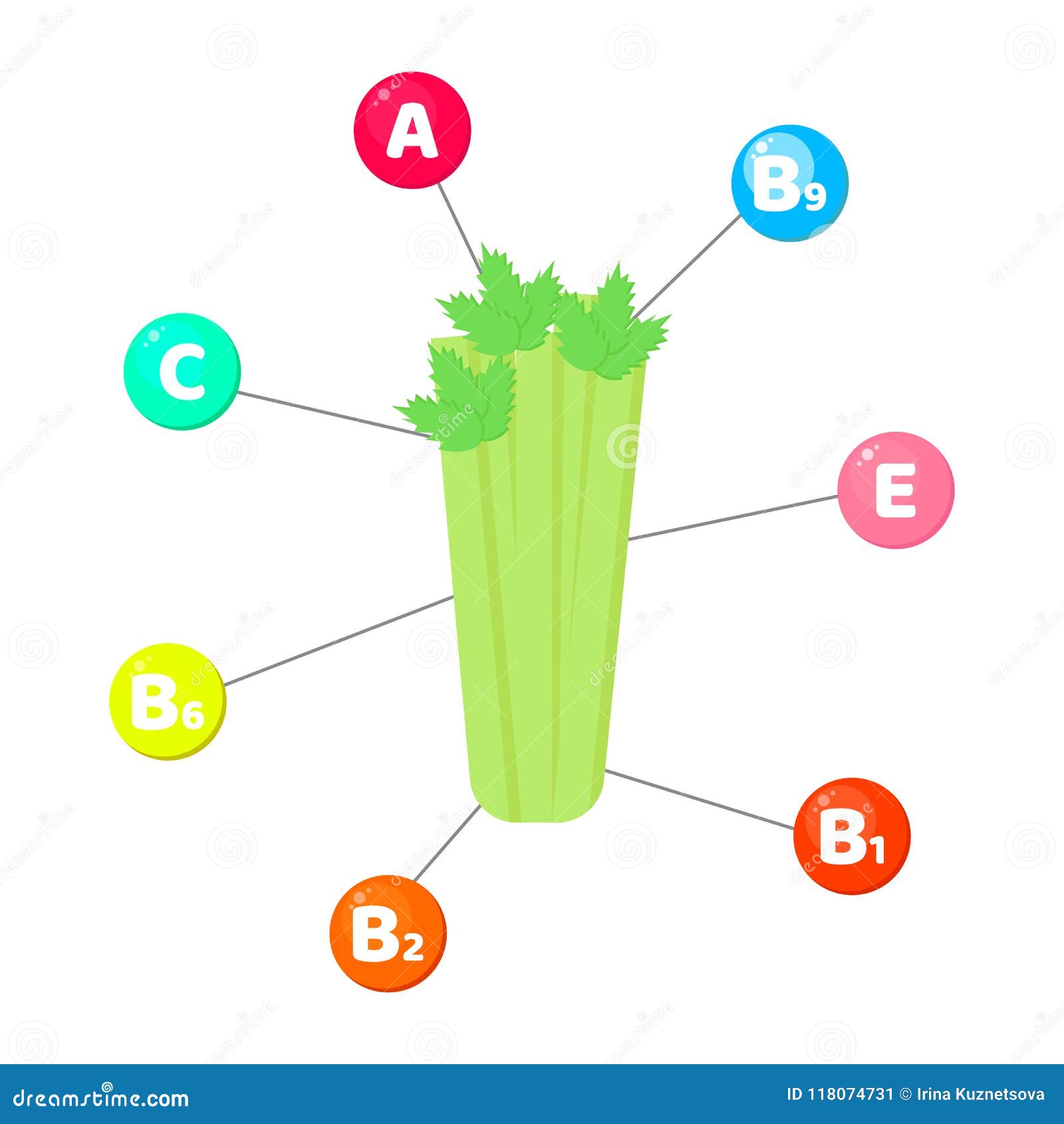 Infographics. Vitamins Contained in Vegetables. Trace Elements in ...