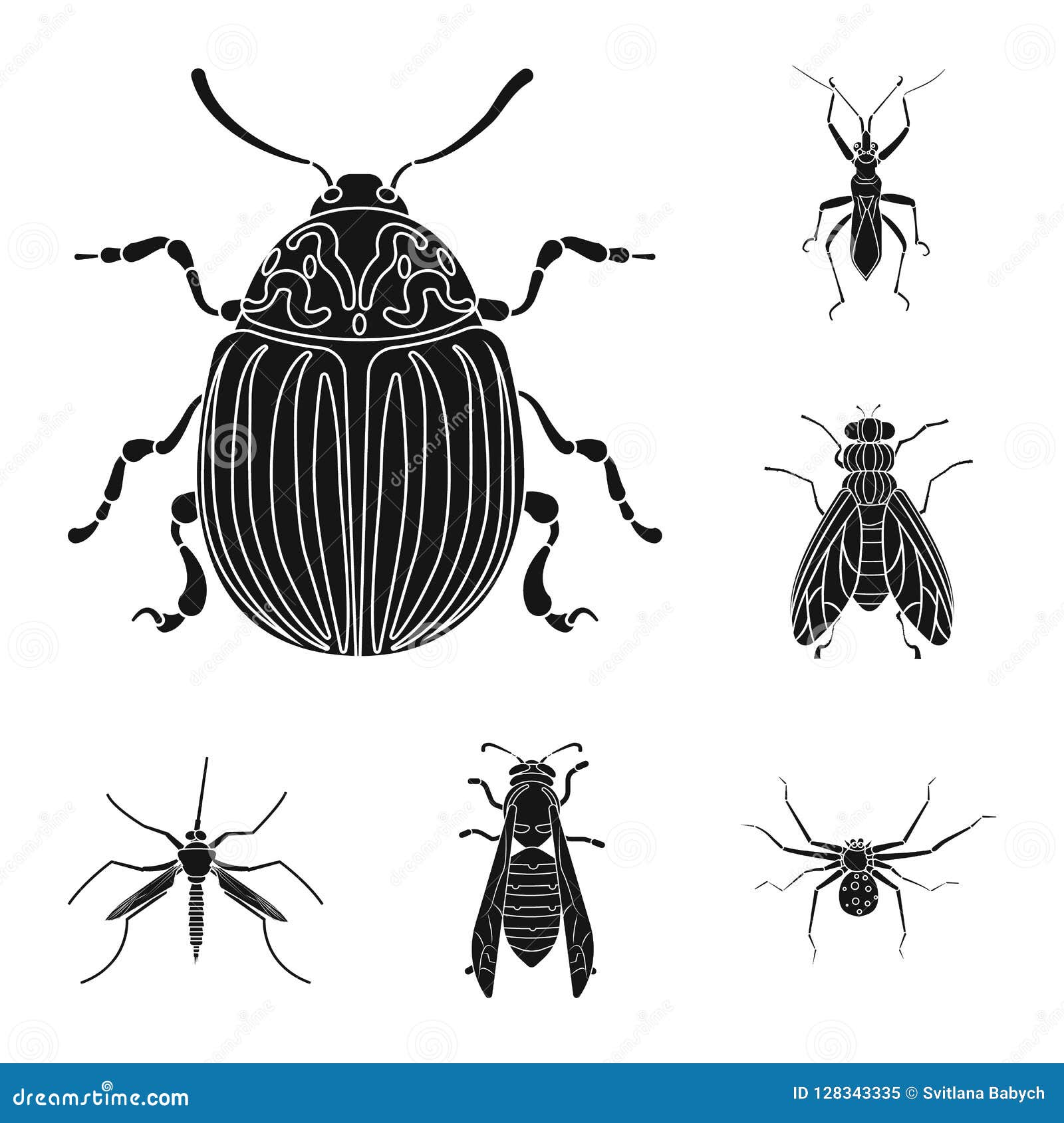 Vector Design of Insect and Fly Logo. Set of Insect and Element Stock ...