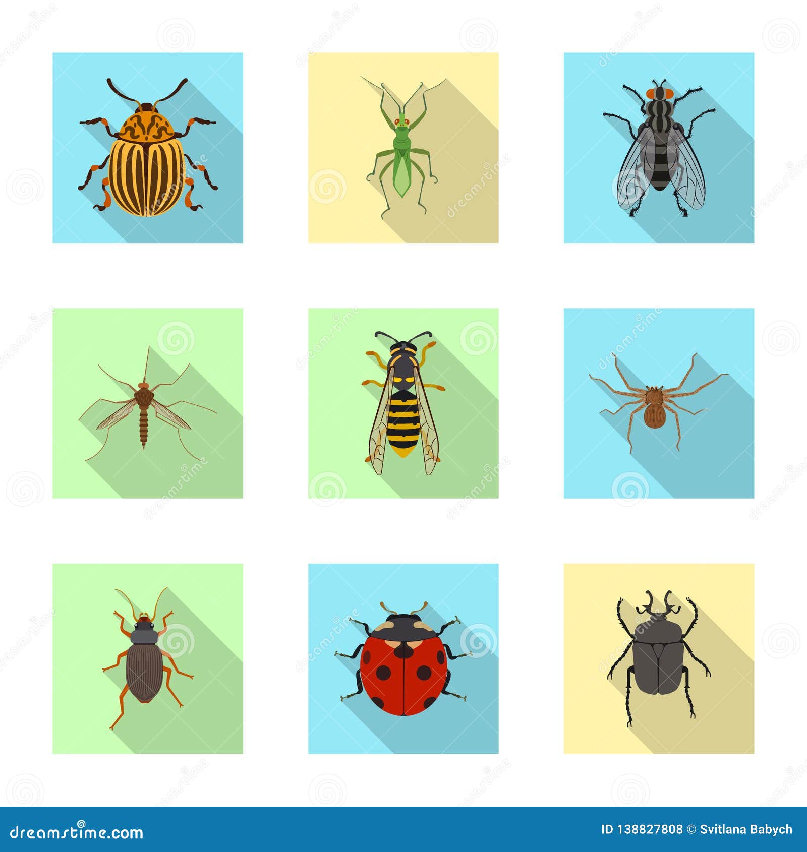 Vector Design of Insect and Fly Sign. Set of Insect and Element Stock ...