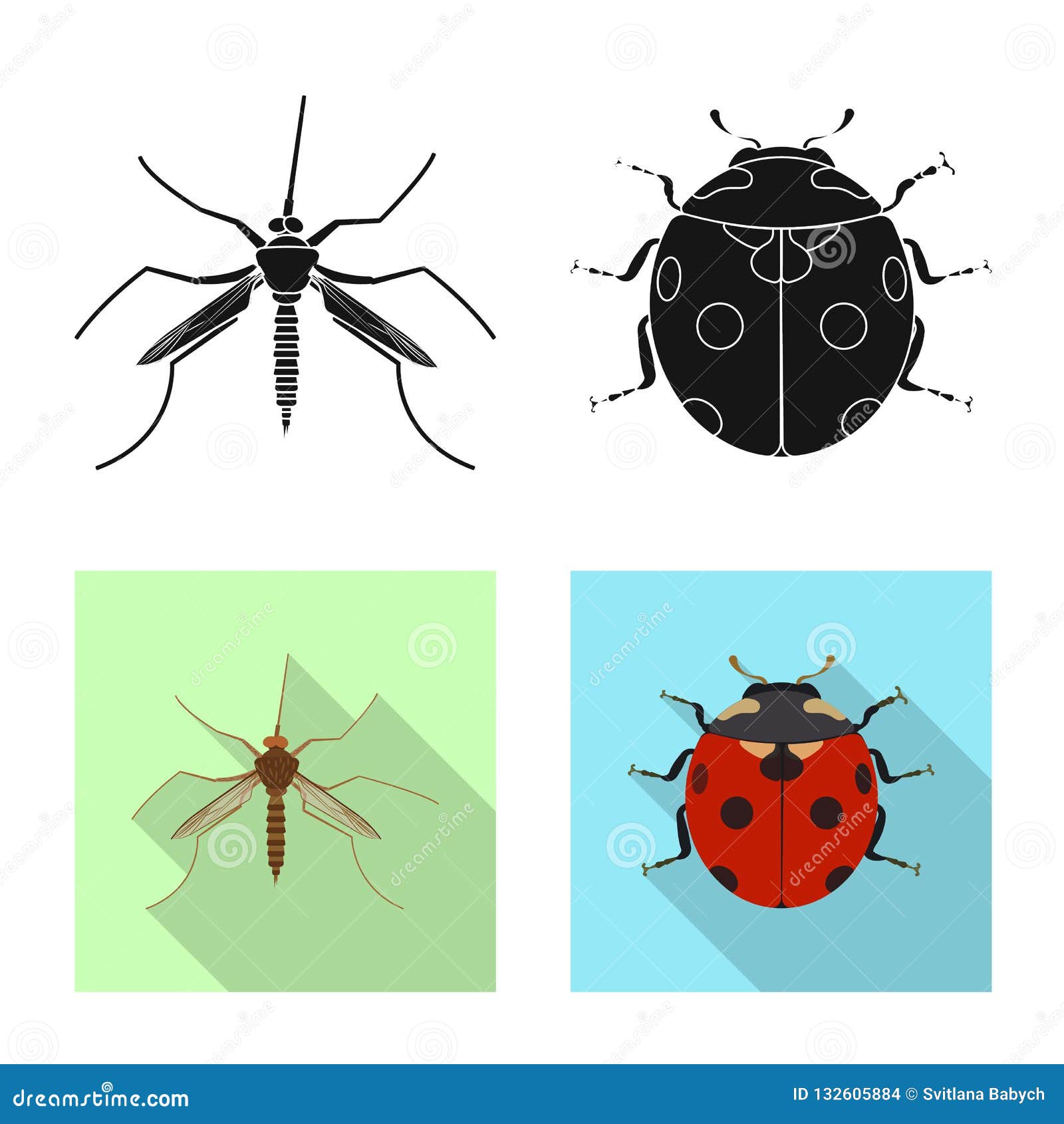 Vector Design of Insect and Fly Symbol. Collection of Insect and ...