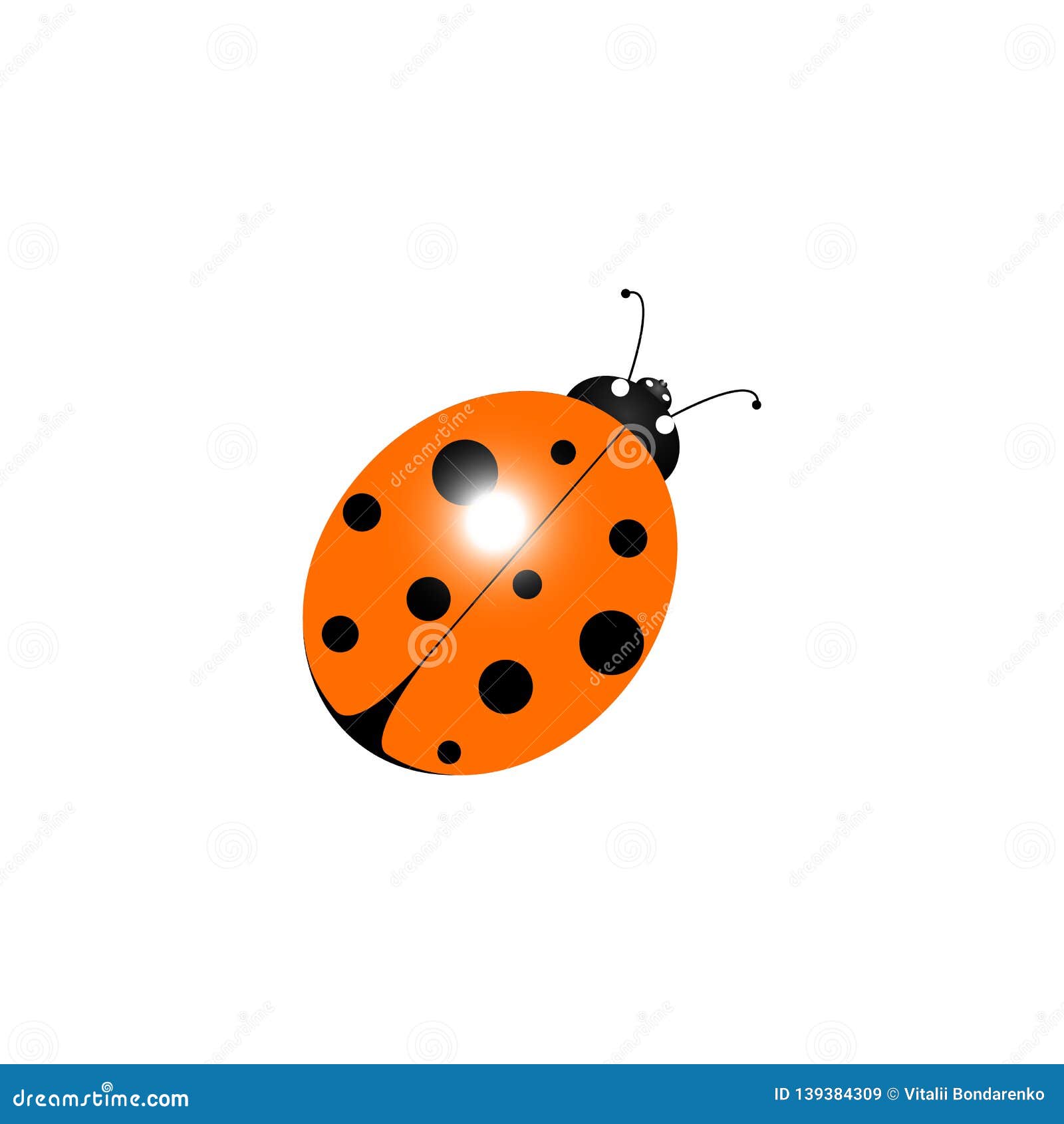 Illustration Of An Insect. Diagram With Labeled Parts Of A Hipotetic ...