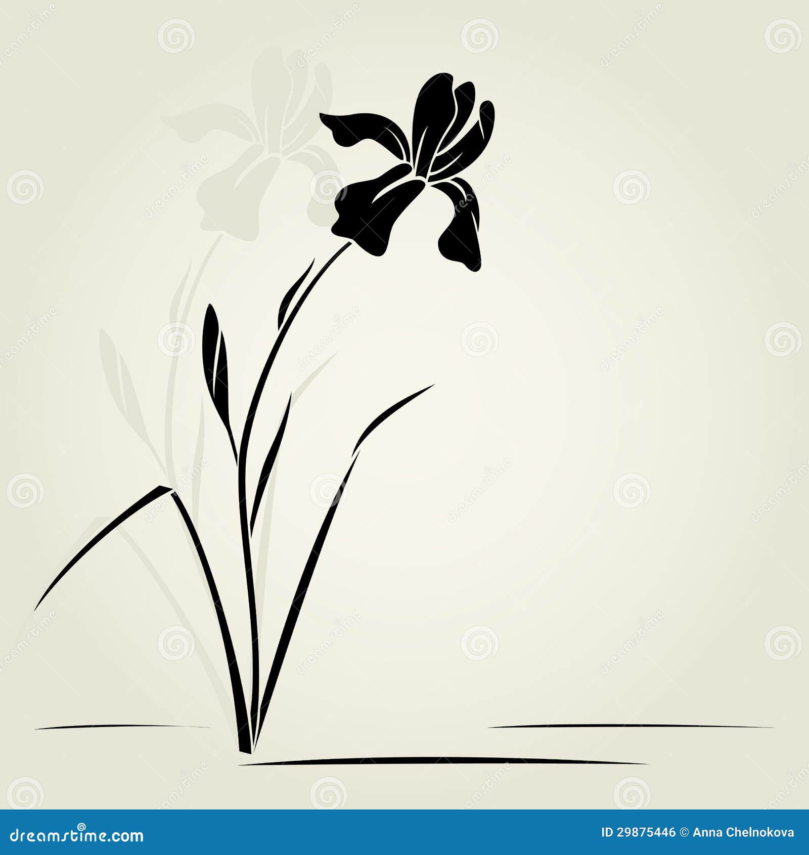 Vector iris flower. stock vector. Illustration of black - 29875446