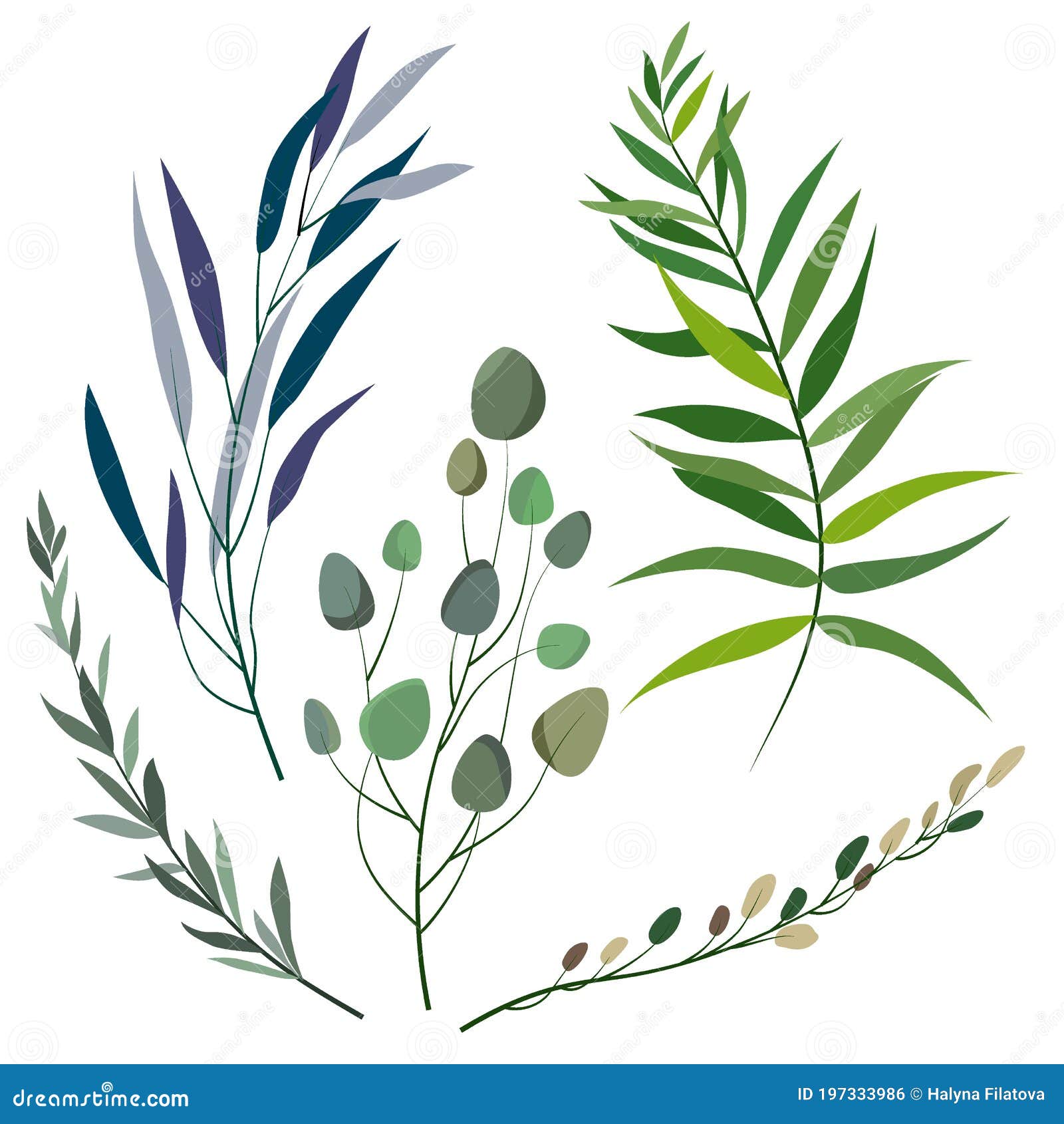 1642 Plants, Vector Illustration, Isolate On A White Background ...