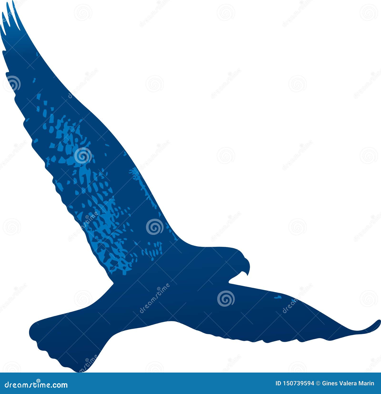 Isolated Flying Hawk Drawed in Blue Tones. Stock Vector - Illustration ...