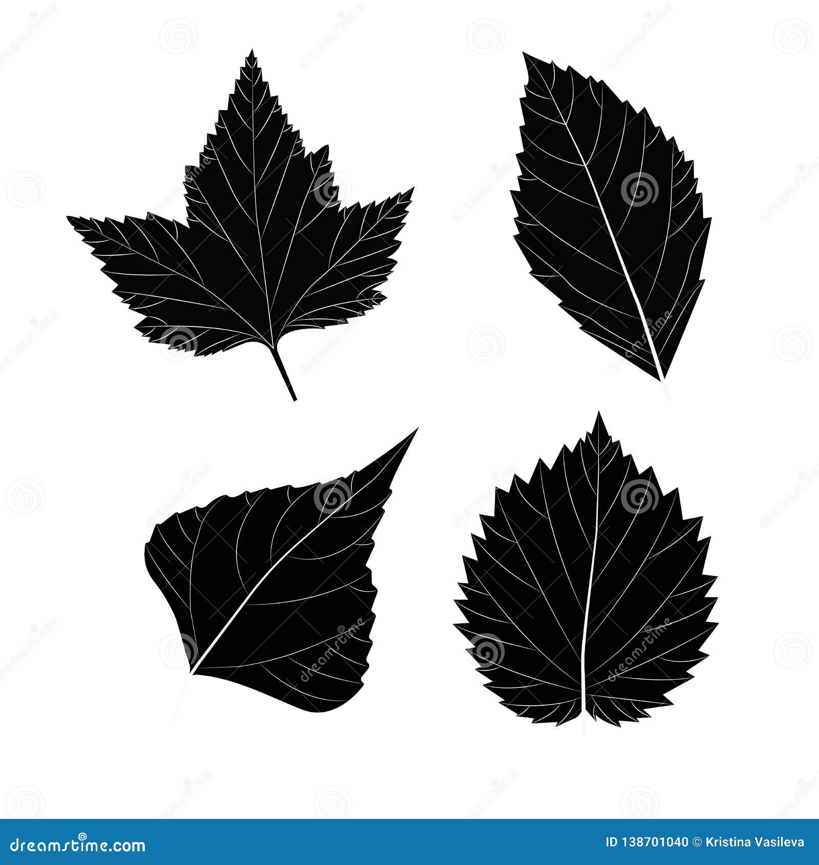 Leaves. Vector Illustration, Isolated on a White Stock Vector ...