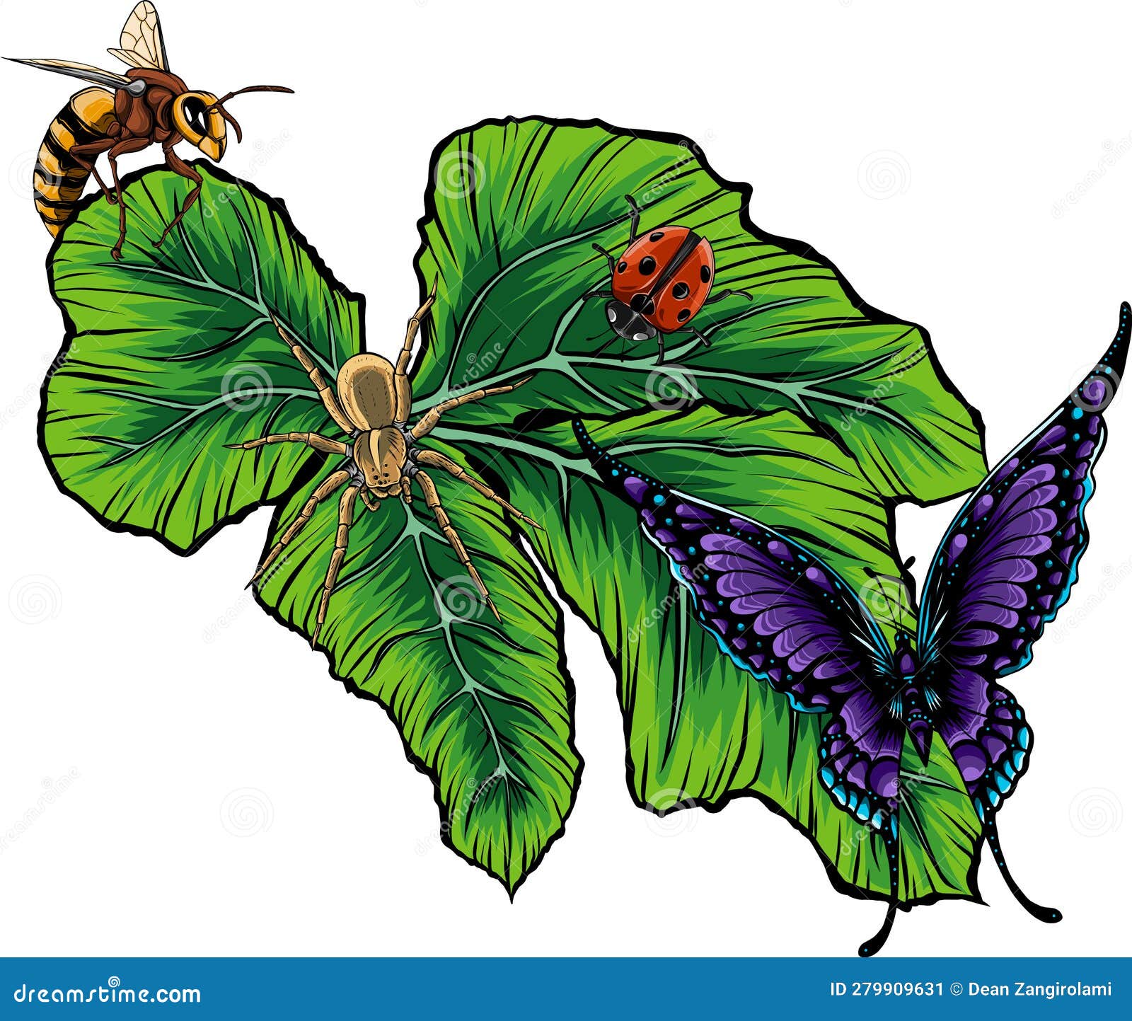 Vector Illustration of Leaves with Insect on White Background Stock ...