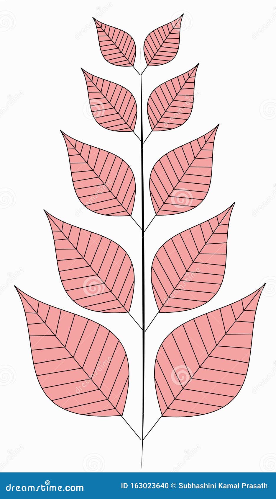 Vector Illustration of Leaves with Stem Pattern Stock Illustration ...