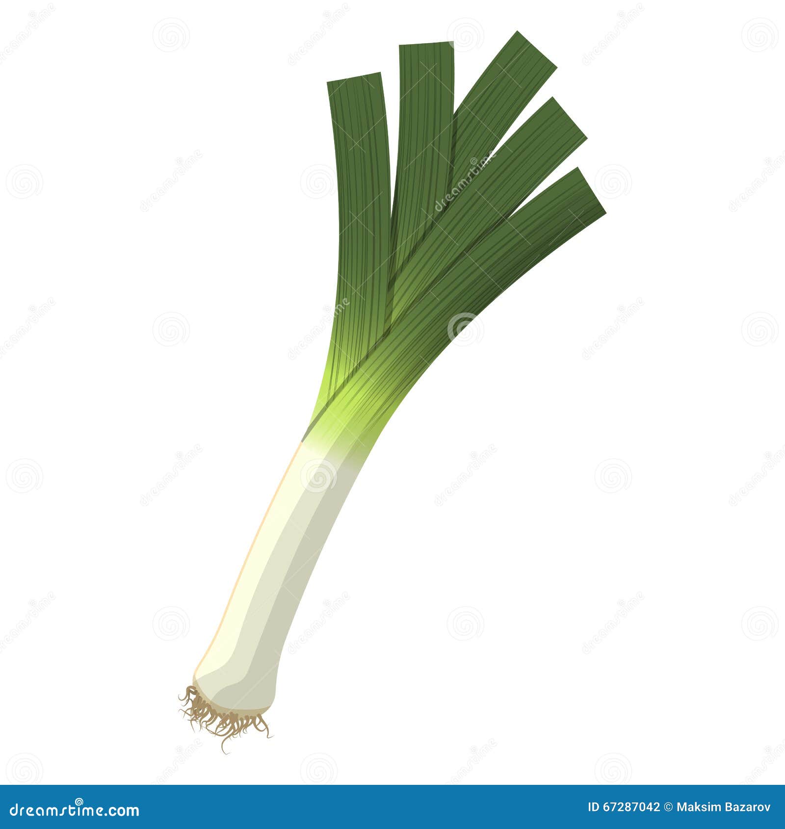 Leek Cartoons, Illustrations & Vector Stock Images - 8482 Pictures to ...