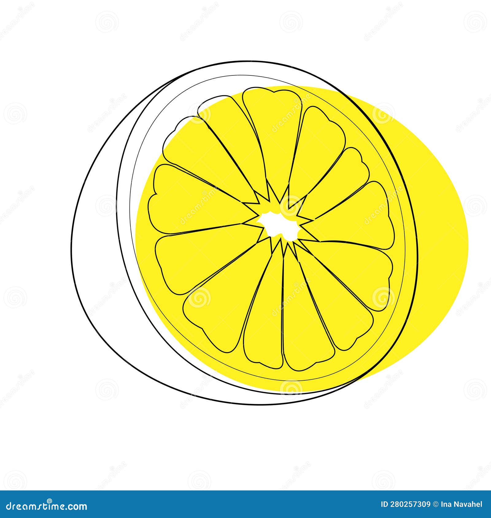 Vector Illustration of a Lemon. Lines Art Tropical Fruit Stock Vector ...
