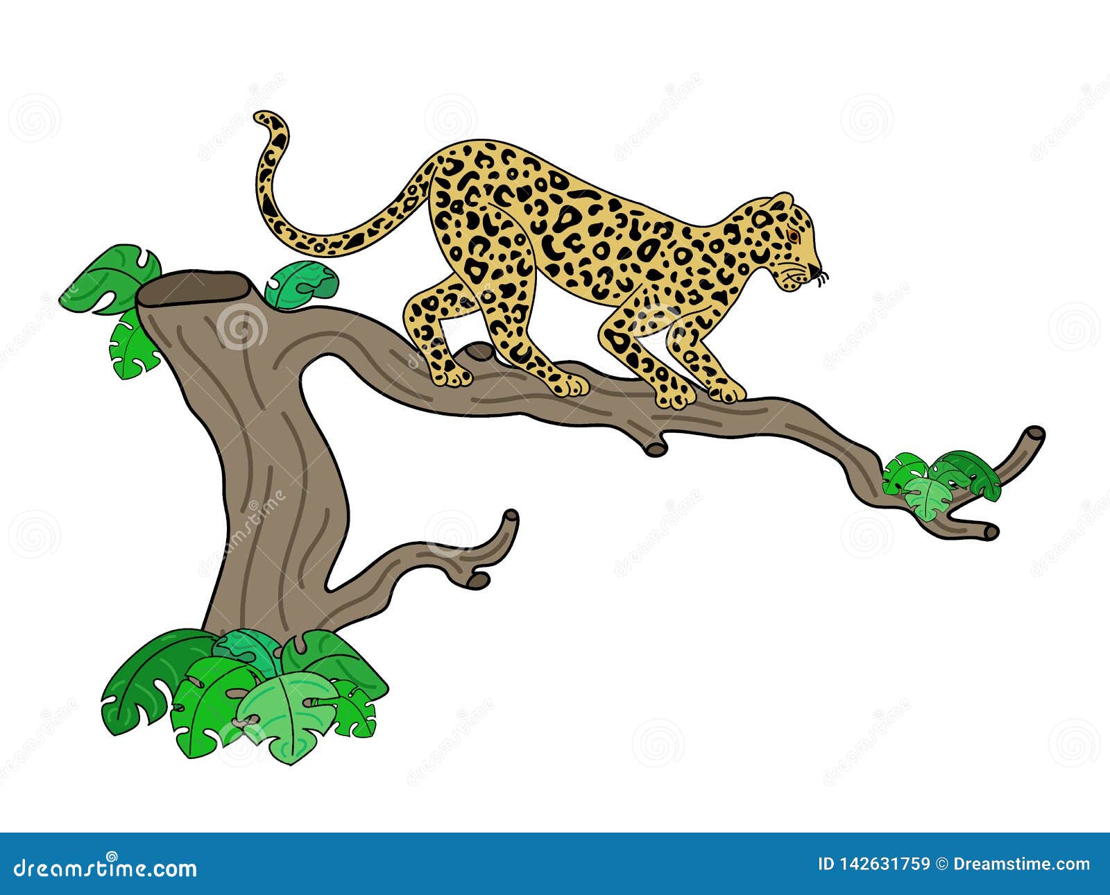Vector Illustration of Leopard Stock Vector - Illustration of clip ...