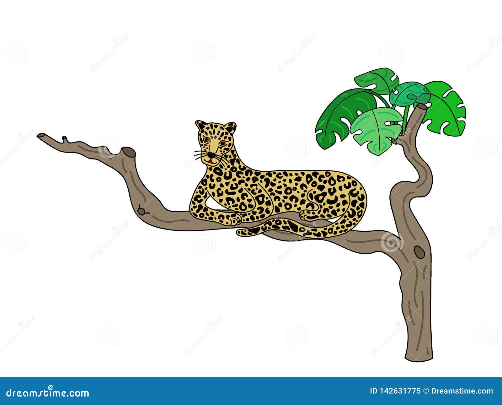 Vector Illustration of Leopard Stock Vector - Illustration of cute ...