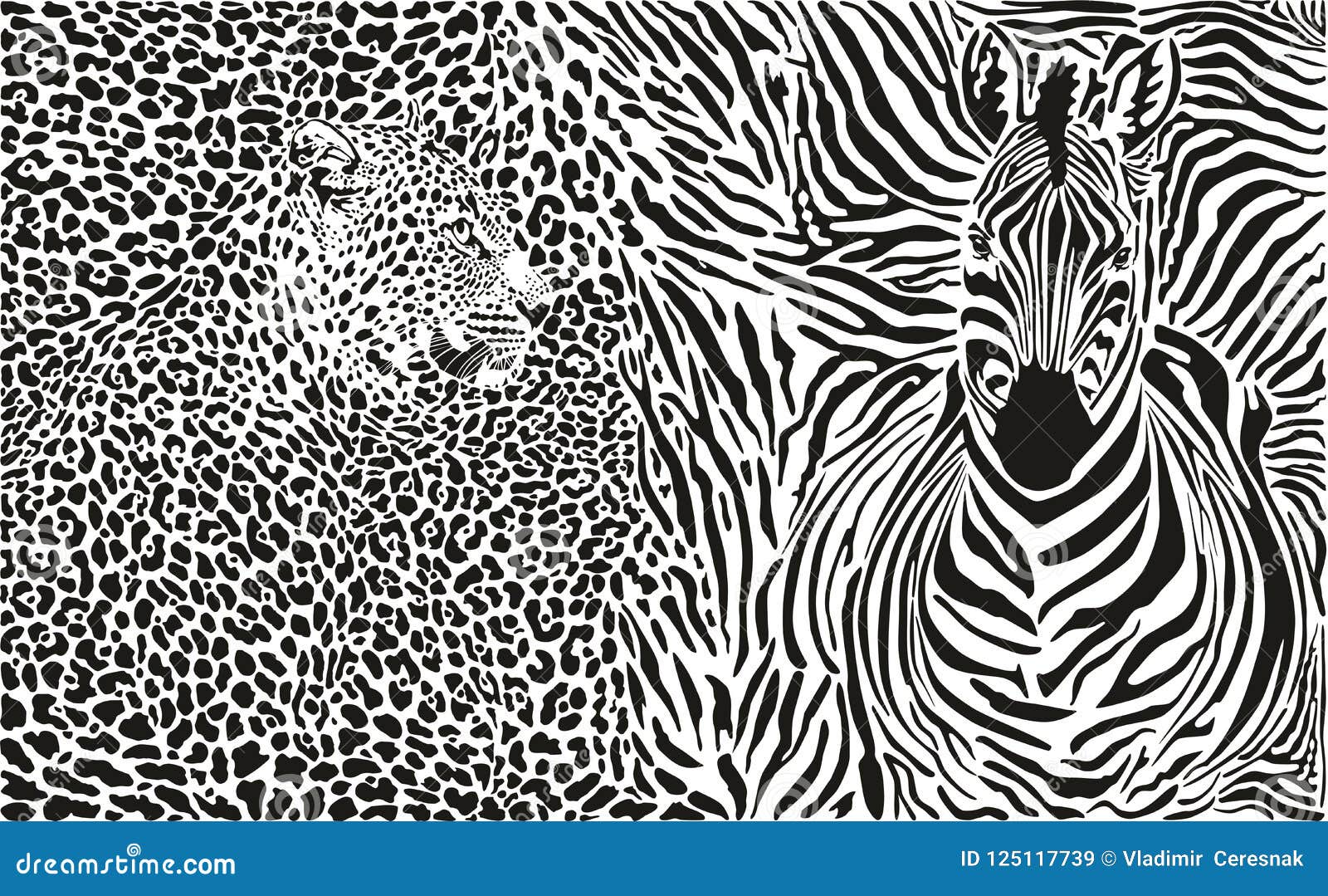 Leopard And Zebra Background Royalty-Free Stock Photography ...