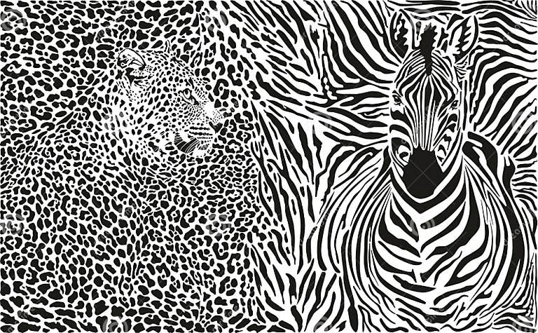 Vector Illustration Leopard and Zebra and Pattern Background Stock ...