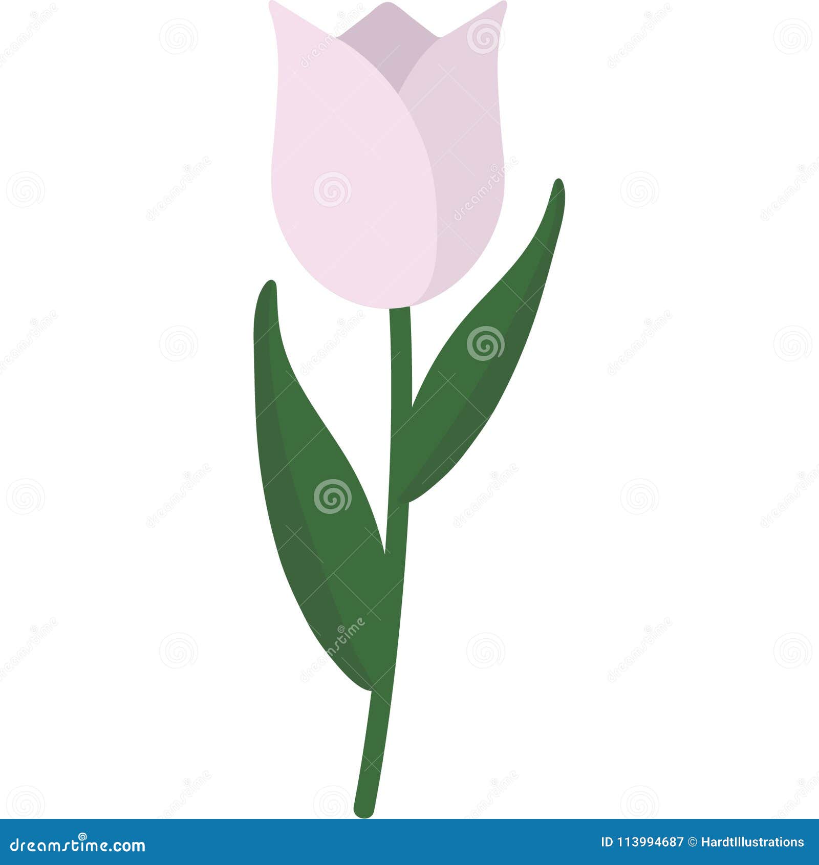 Light Pink Tulip Vector Illustration Stock Illustration - Illustration ...