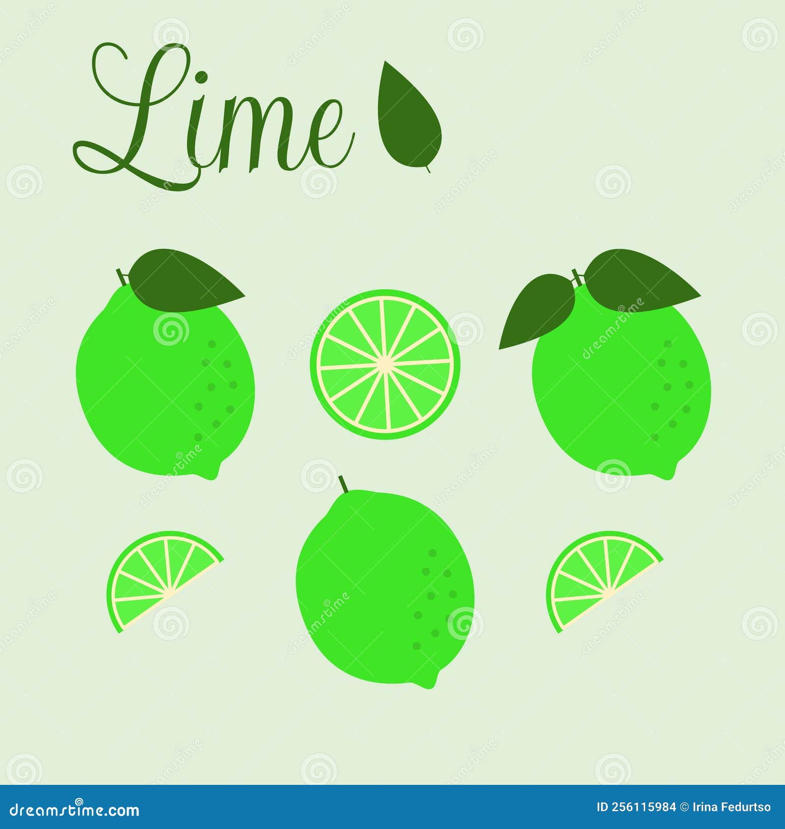 Vector Illustration. Lime Collection in a Flat Style. Stock Vector ...