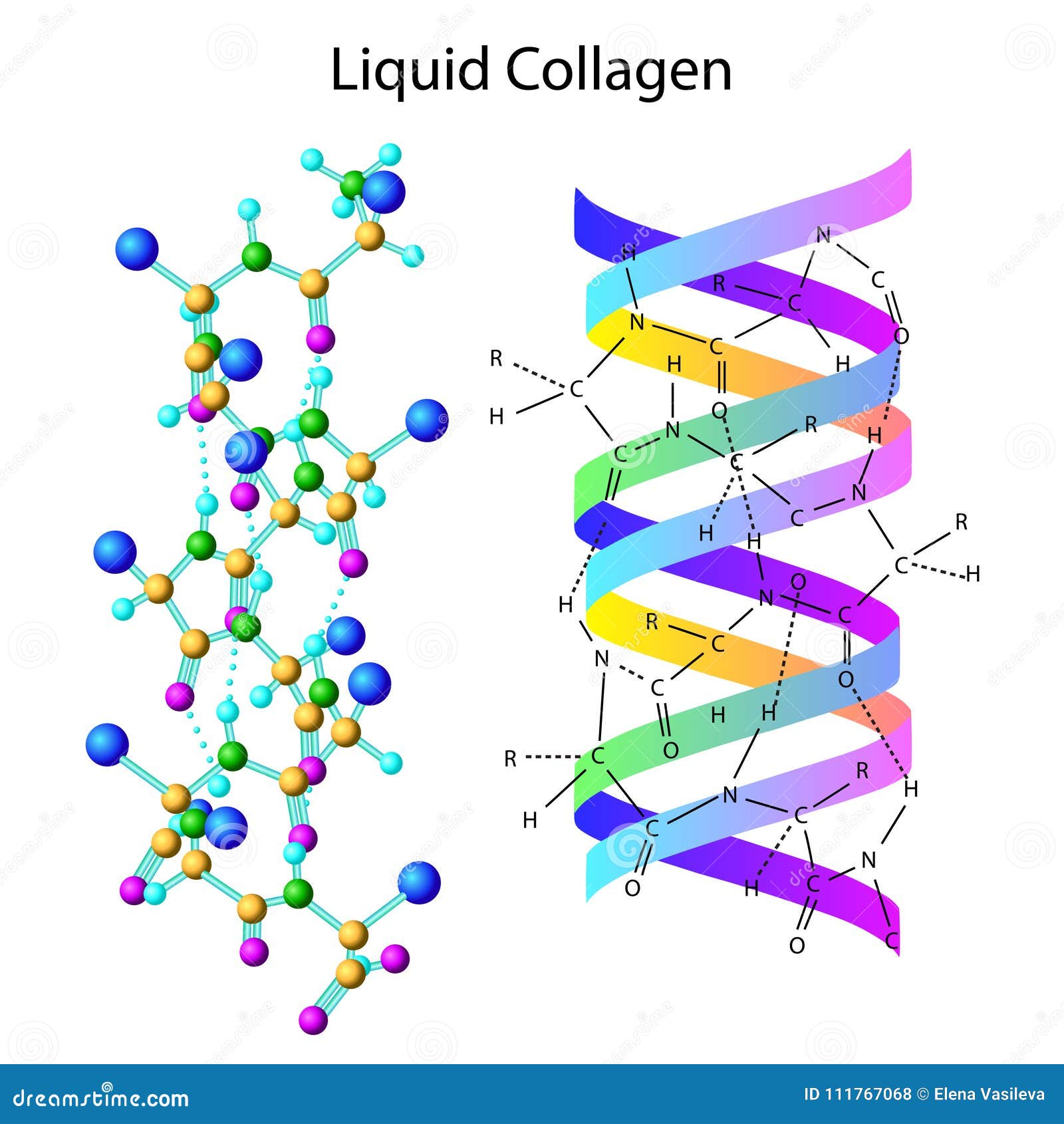 Vector Illustration with Liqid Collagen Formula Isolated Stock Vector ...