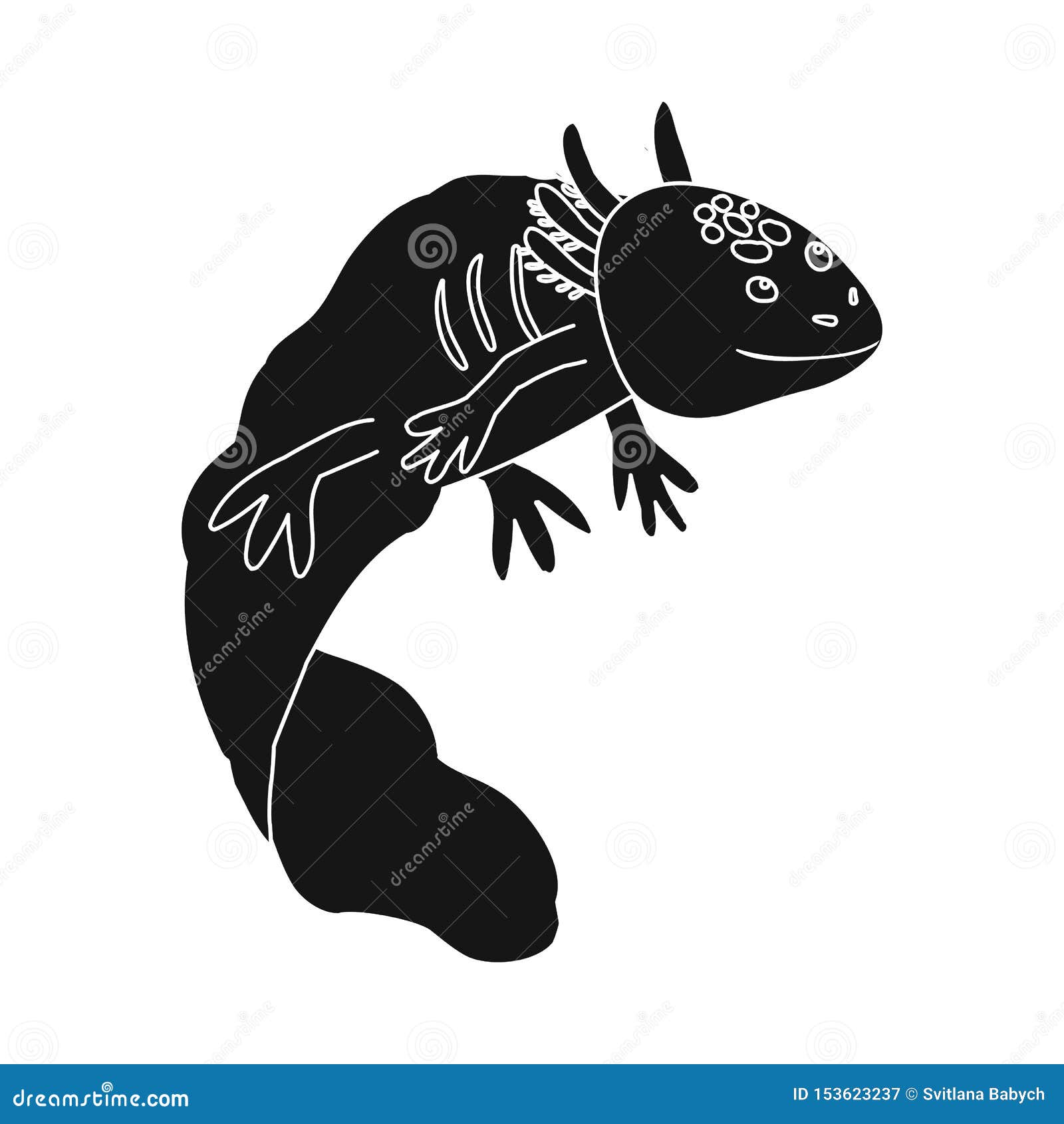 Vector Illustration of Lizard and Axolotl Sign. Set of Lizard and ...