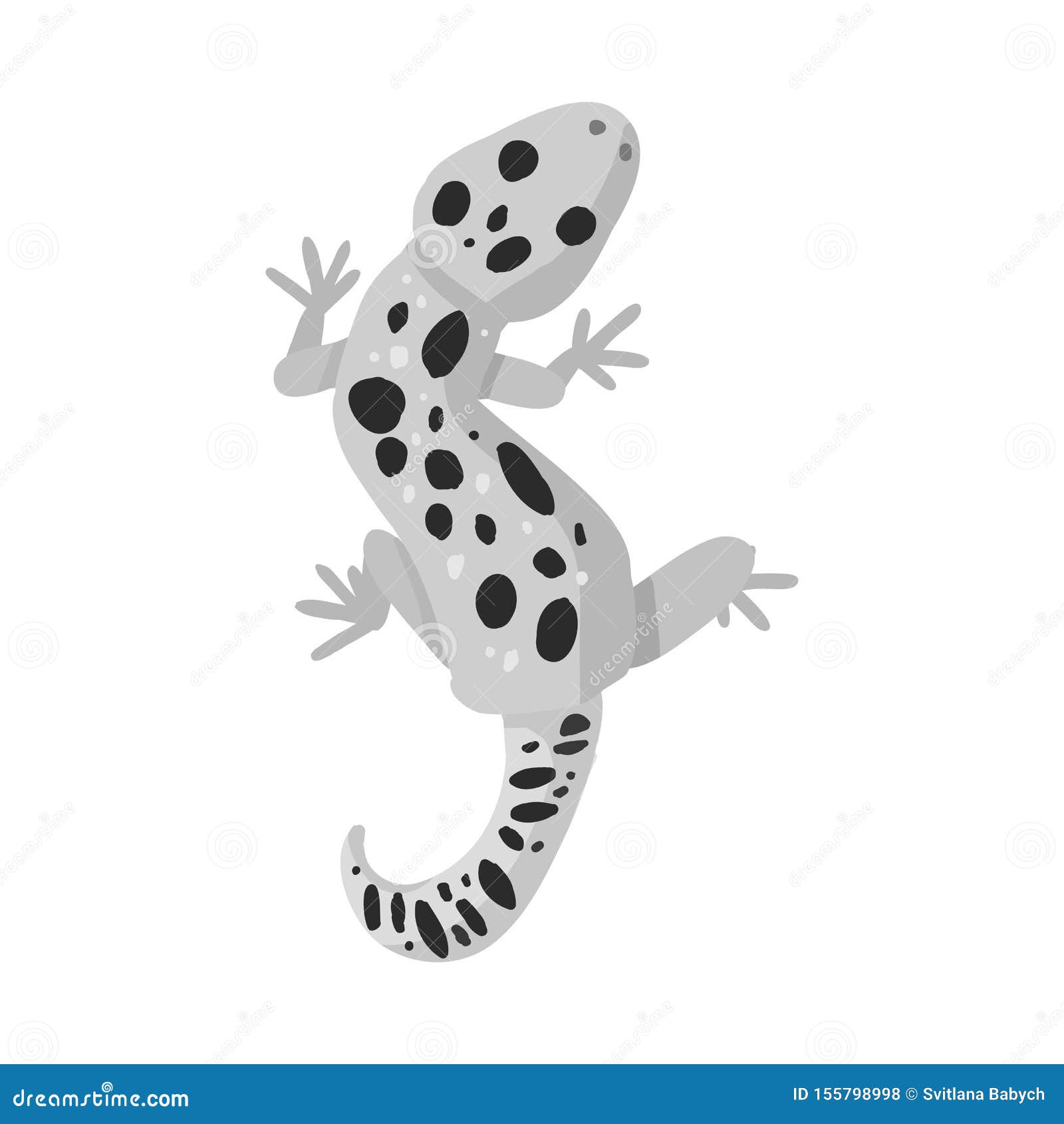 Vector Illustration Of Lizard And Gecko Icon. Set Of Lizard And ...