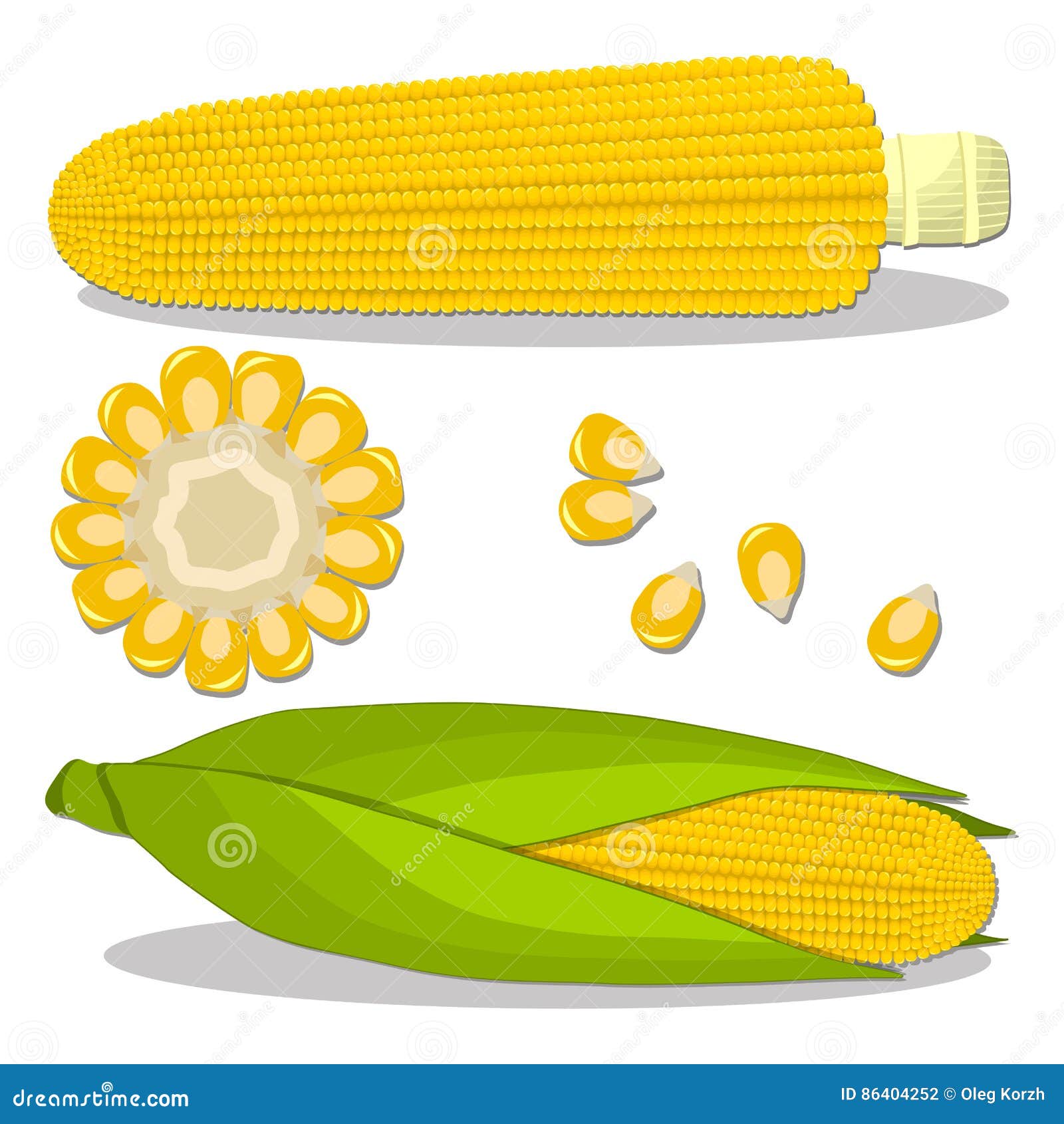 Vector Illustration Logo for Whole Ripe Vegetable Yellow Corn Stock ...