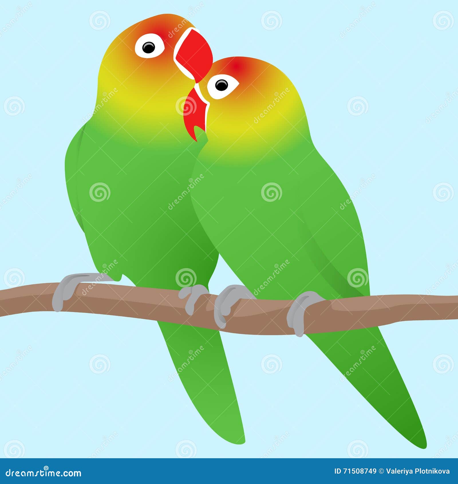 Vector Illustration of Lovebirds Parrots. Stock Vector - Illustration ...