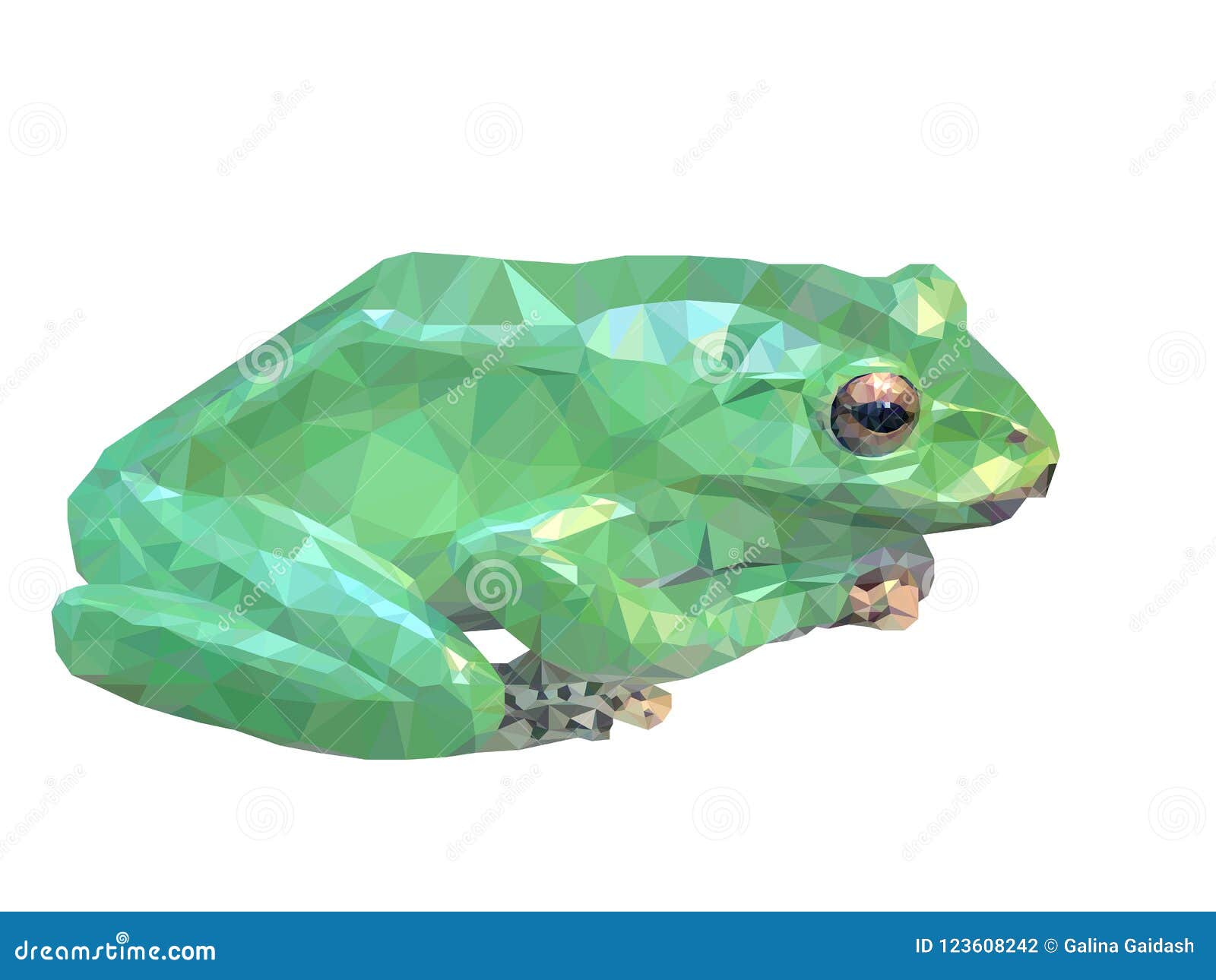 Vector Illustration Of Low Poly Frog. | CartoonDealer.com #123608242