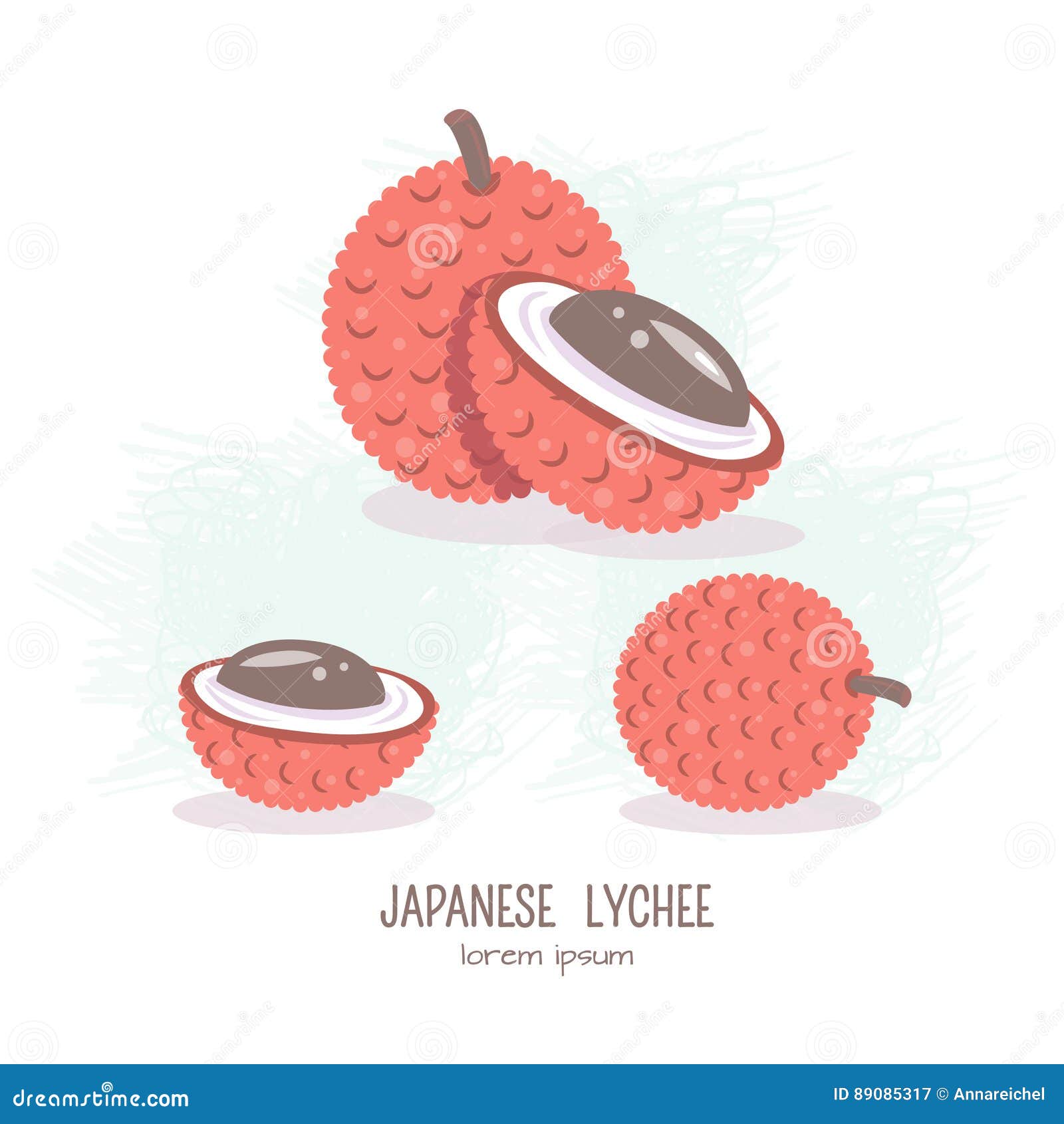 Vector Illustration of Lychee Fruit Stock Vector - Illustration of rose ...