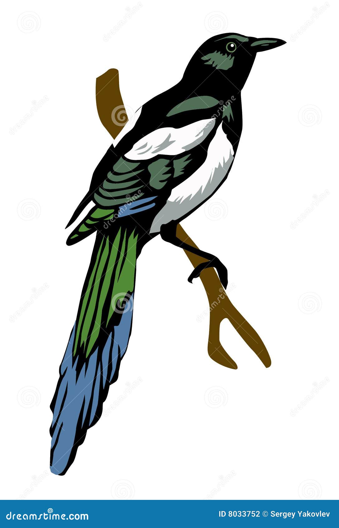 Magpie Cartoon Vector | CartoonDealer.com #71779017