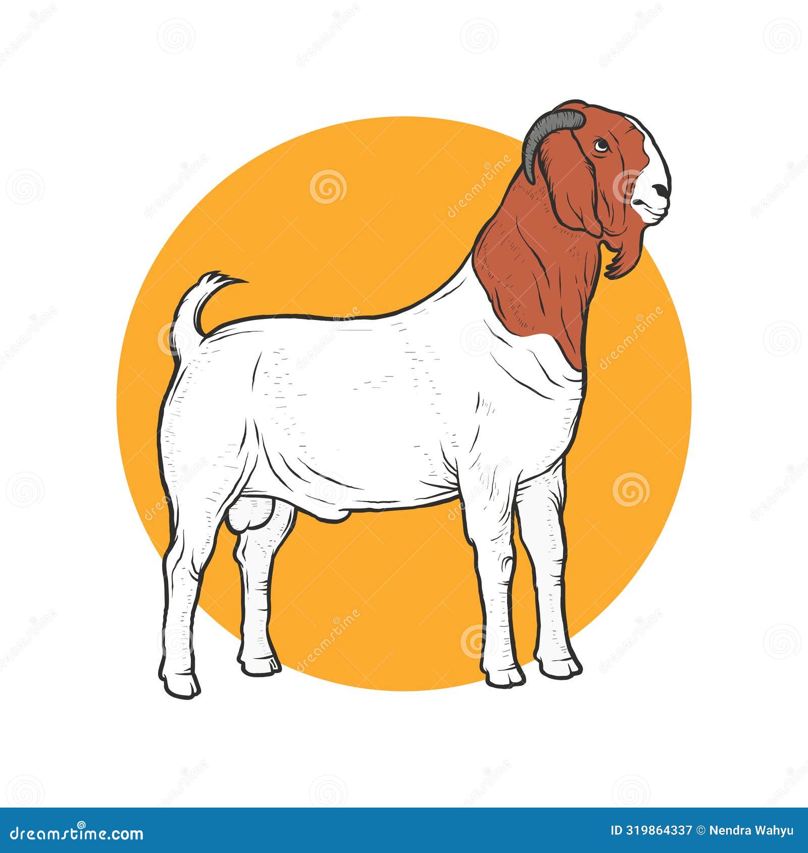 Vector Illustration of Male Boer Goat. Stock Vector - Illustration of ...