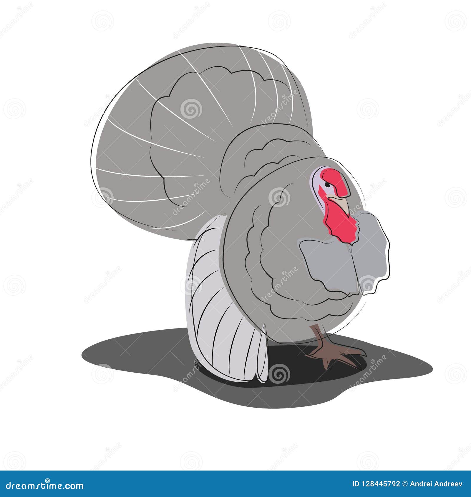 Vector Illustration of a Male Wild Turkey. Stock Vector - Illustration ...