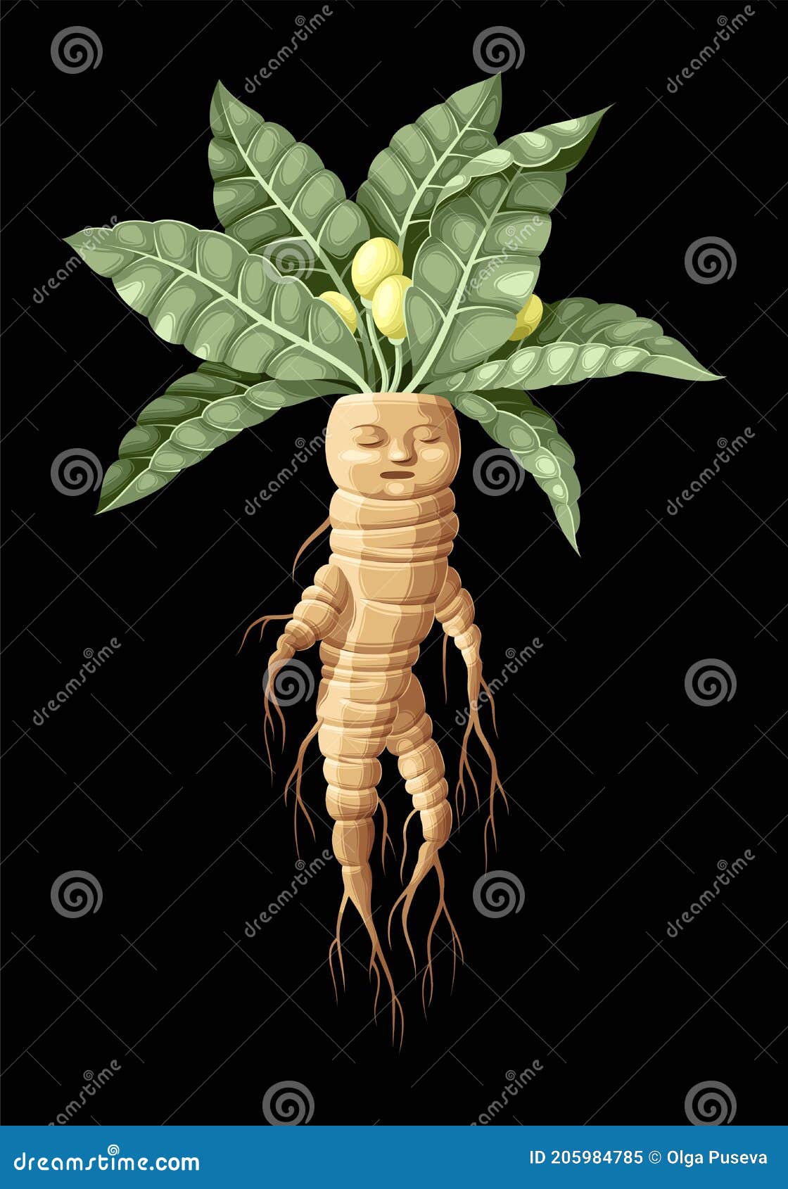 Vector Illustration of Mandrake with Human Face Stock Vector ...