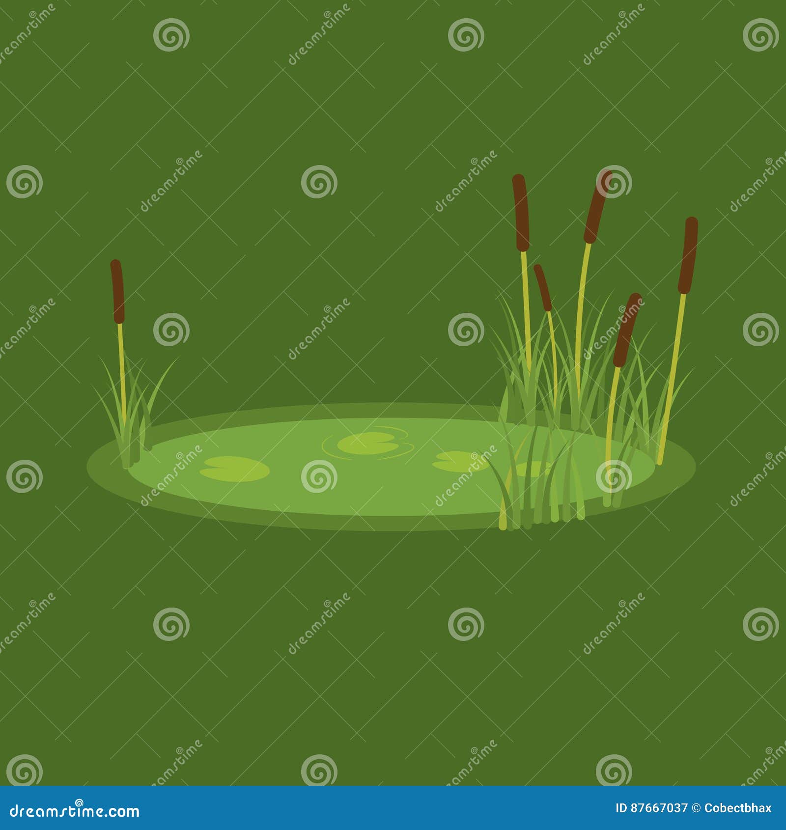 Vector Illustration of the Marsh, Reeds and Water Lilies on a Green ...