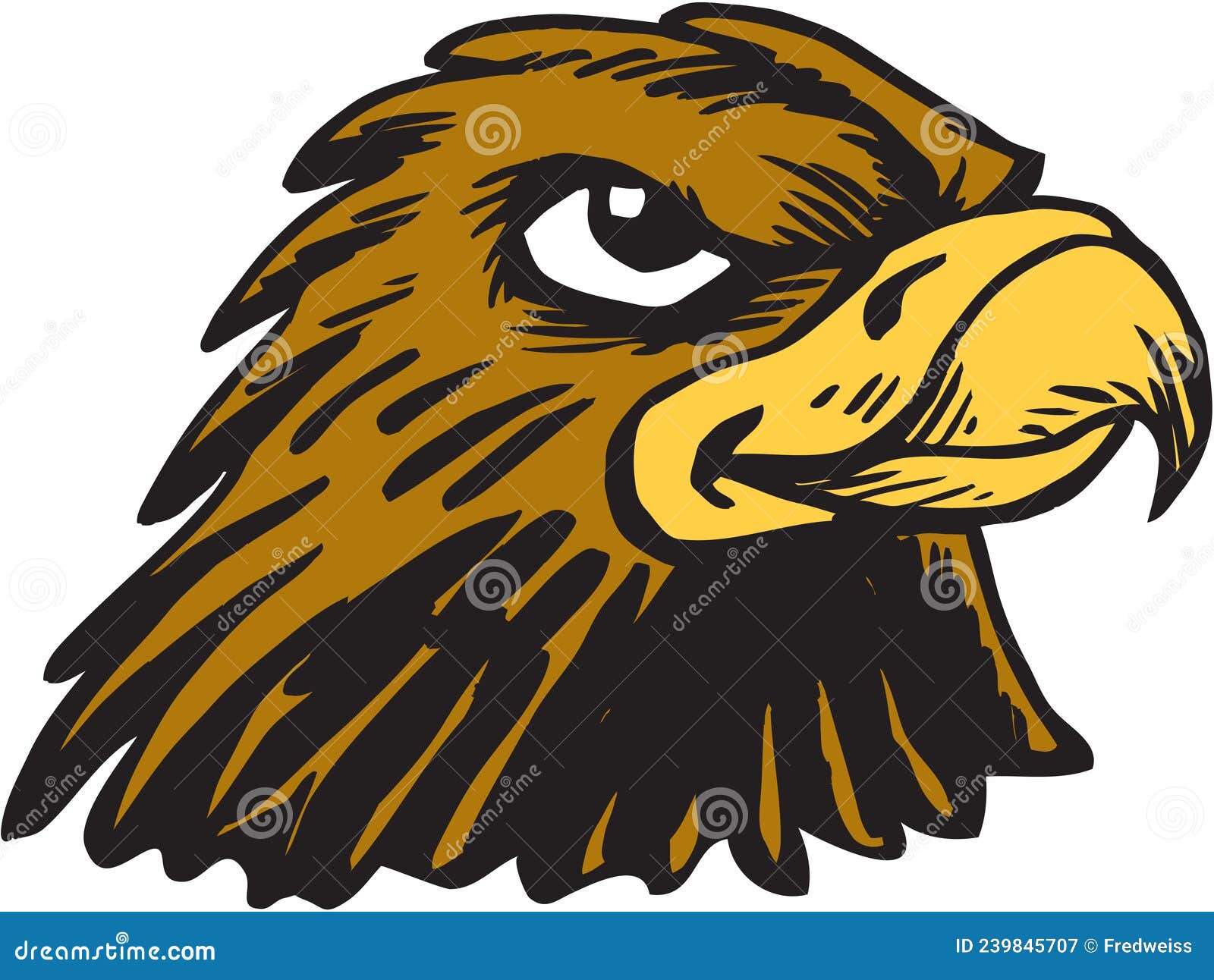 Hawk Head Vector Illustration Stock Vector - Illustration of head, bird ...
