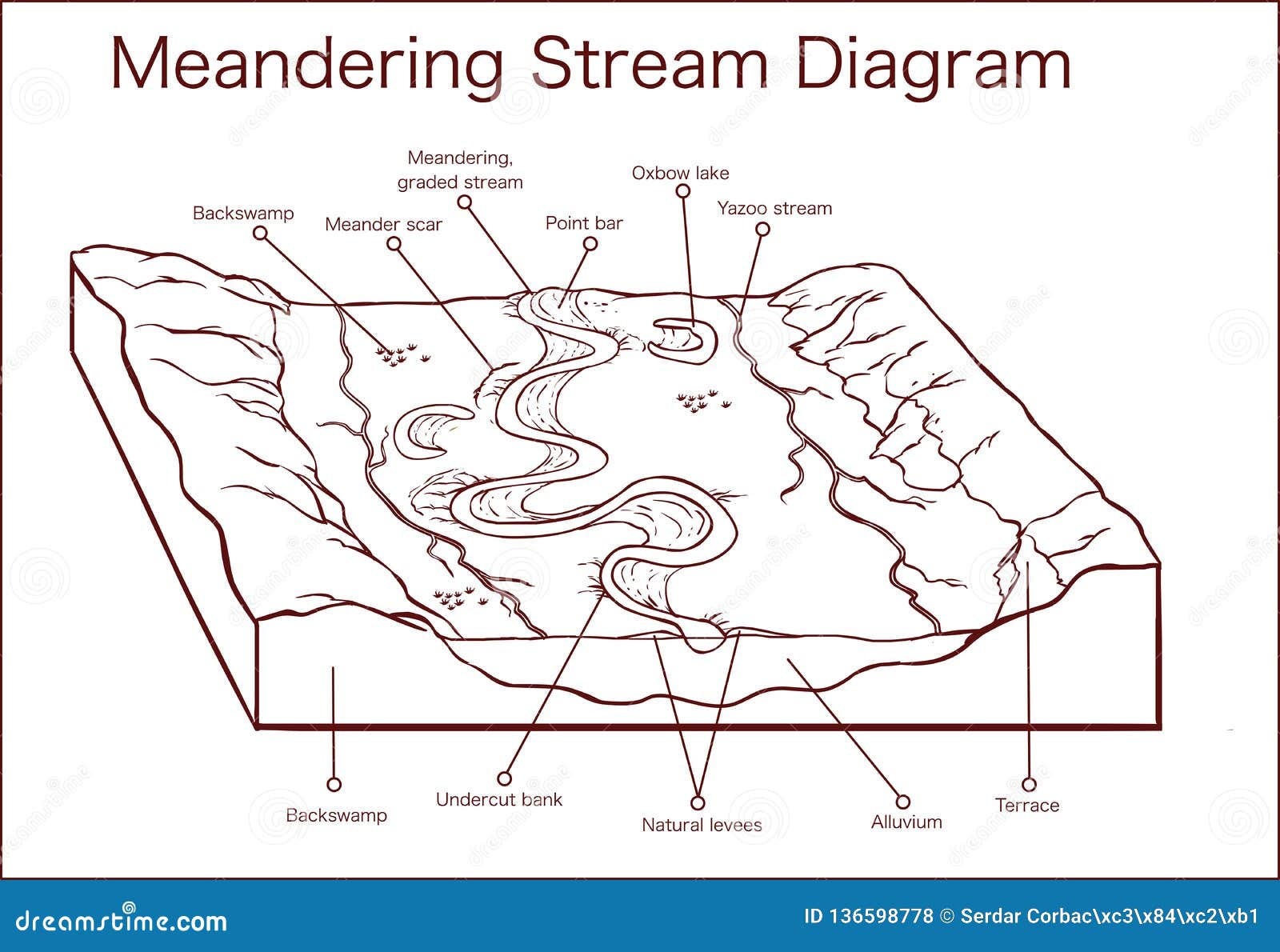 Vector Illustration of a Meandering Stream Stock Vector - Illustration ... Vector Illustration of a Meandering Stream Stock Vector - Illustration ...