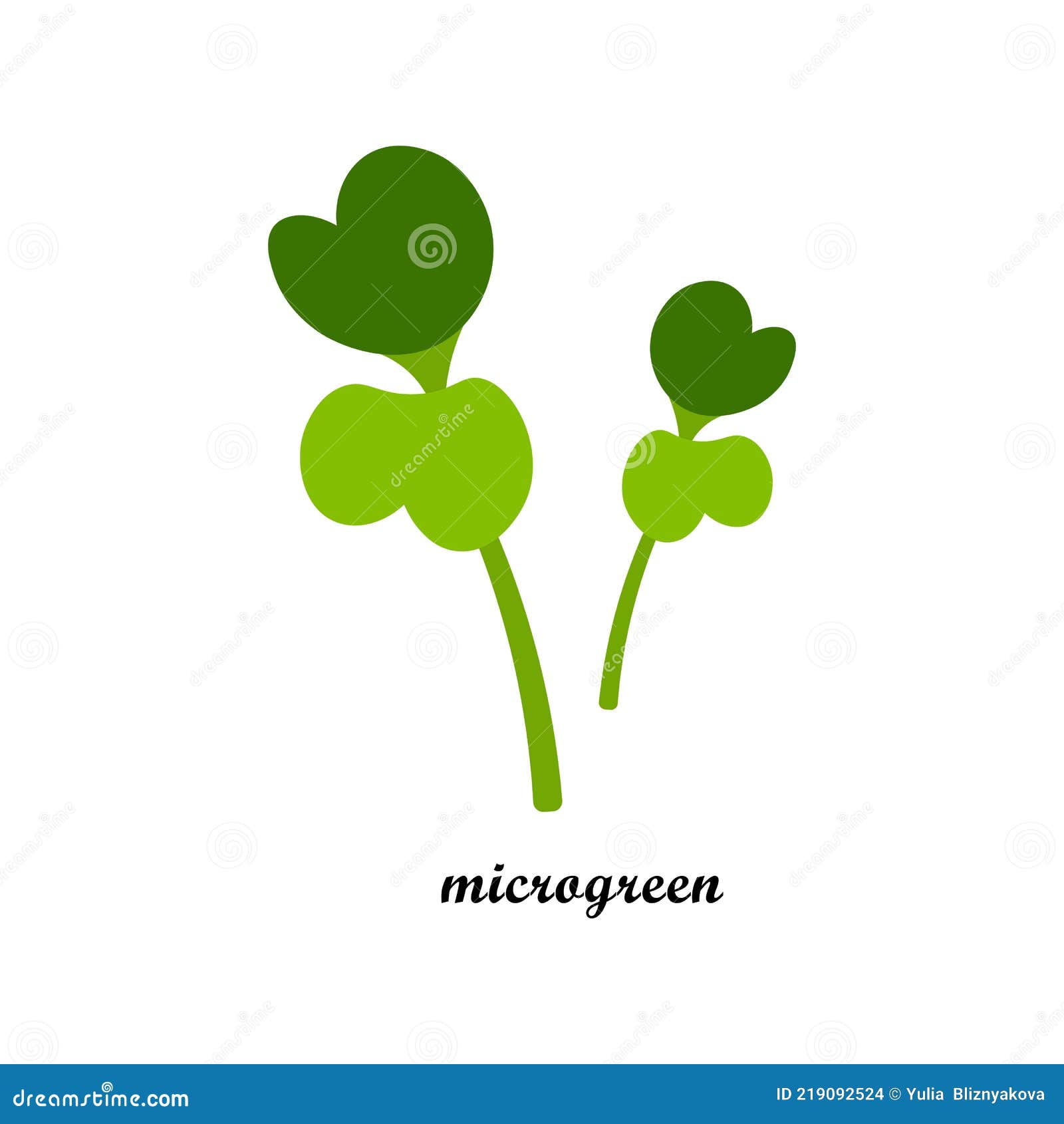 Vector Illustration of Microgreen Leaves with Title Text Isolated on ...