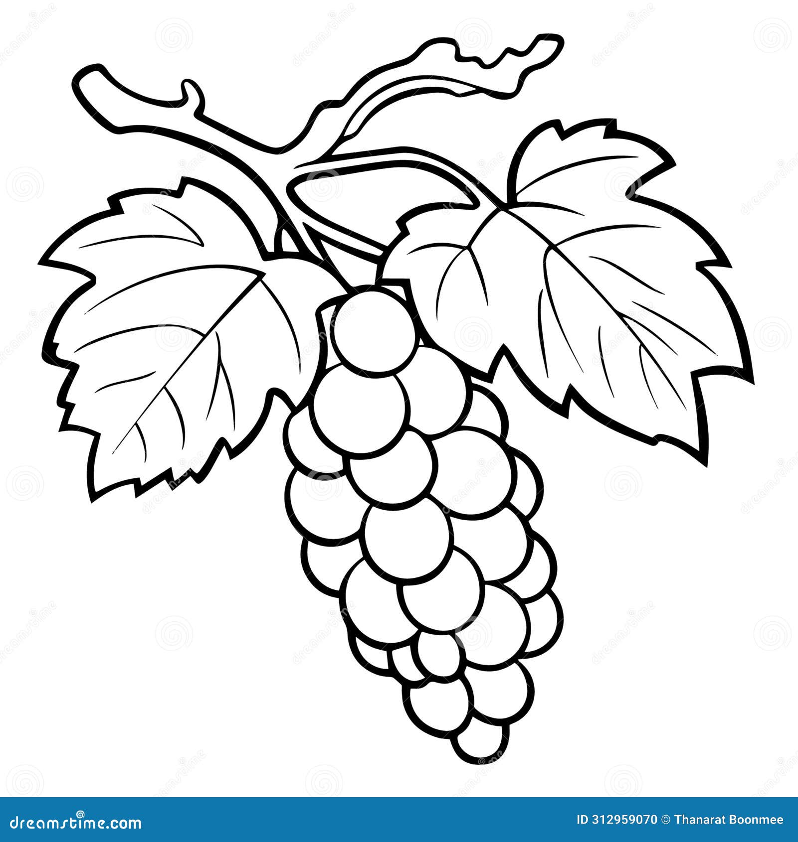 Sleek Grape Outline Icon in Vector Format for Fruit-themed Designs ...