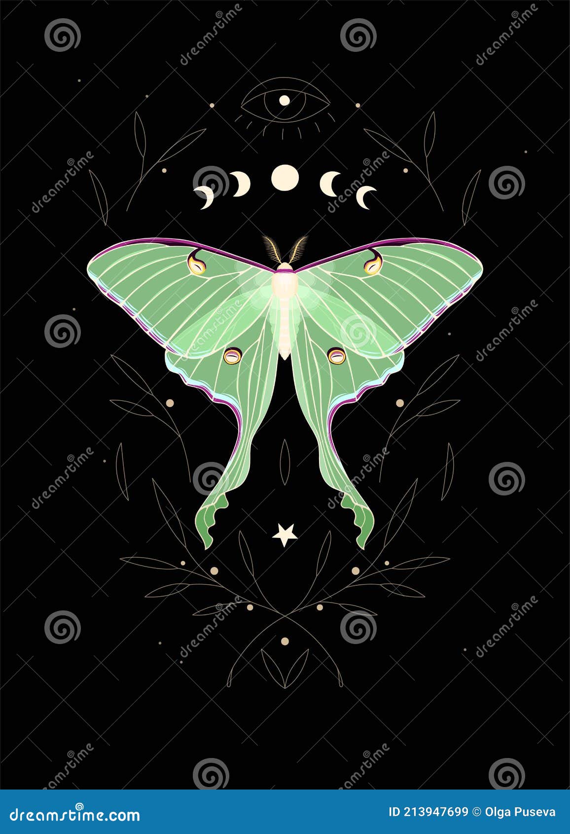 Moon Moth Butterfly Insect Vector Illustration Transparent Background ...