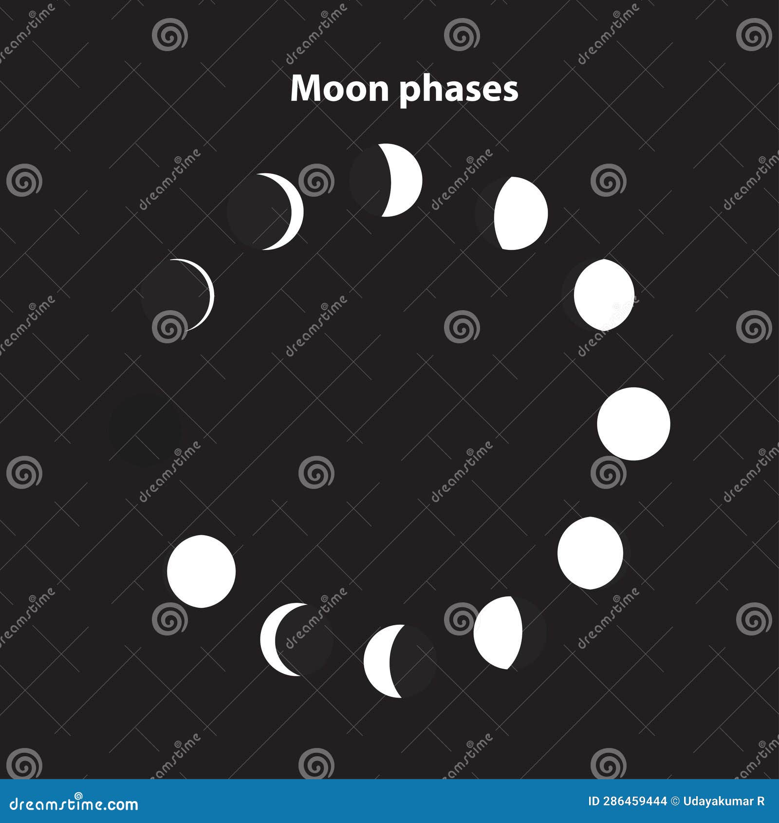 Vector Illustration of Moon Phases Shapes. on a Dark Background. Stock ...